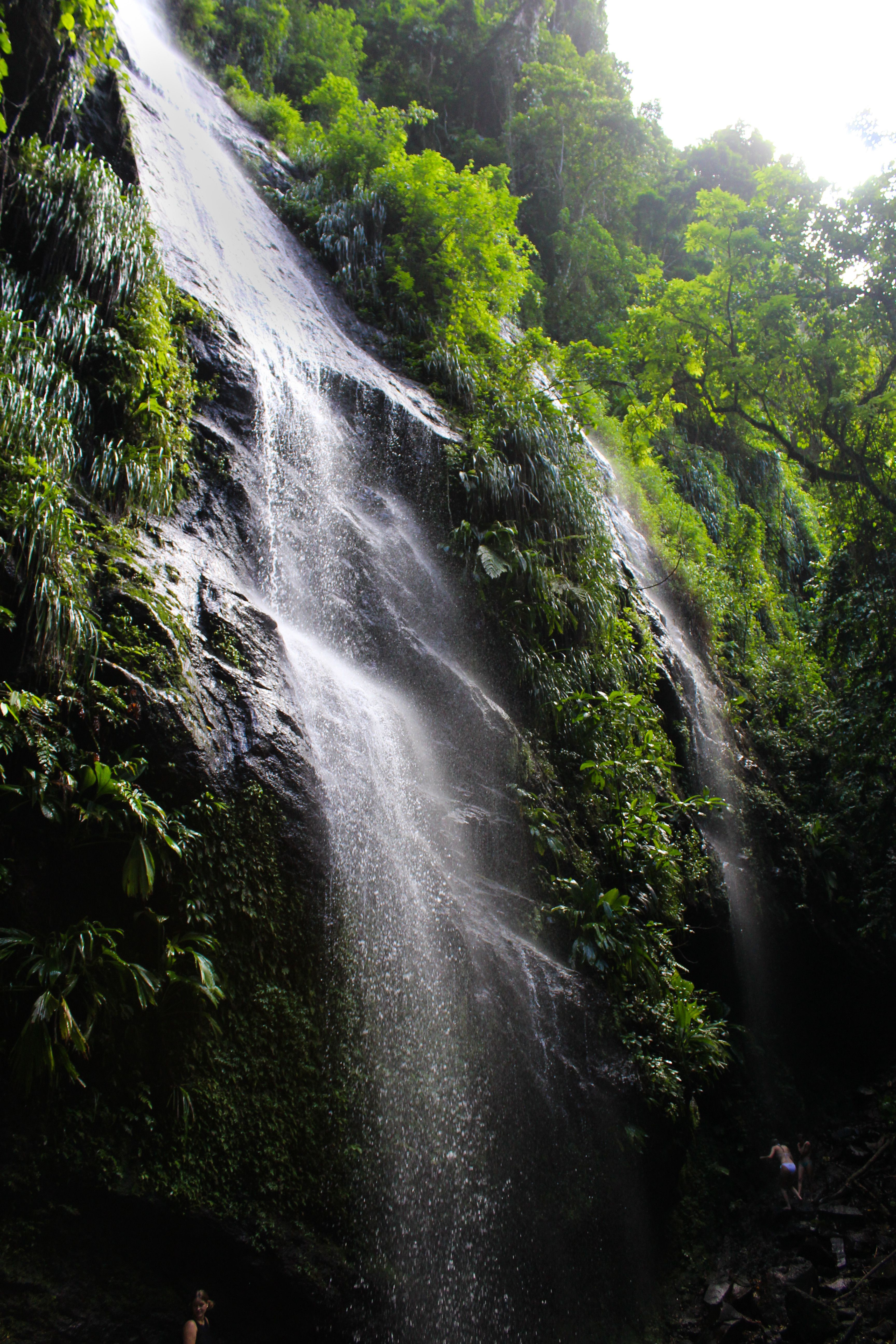 Caribbean Waterfall Photos, Download The BEST Free Caribbean Waterfall ...
