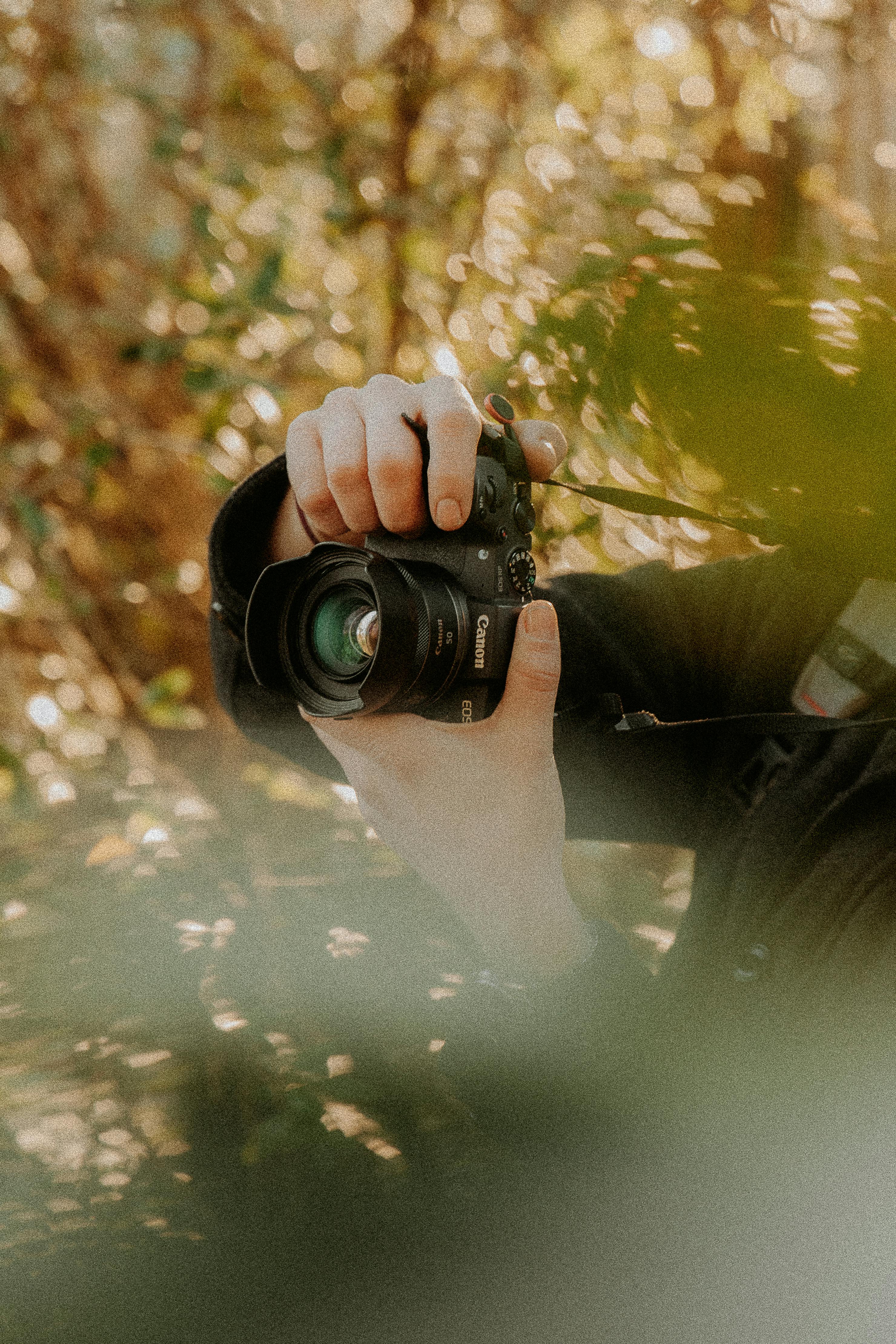 Person Holding a Dslr Camera · Free Stock Photo