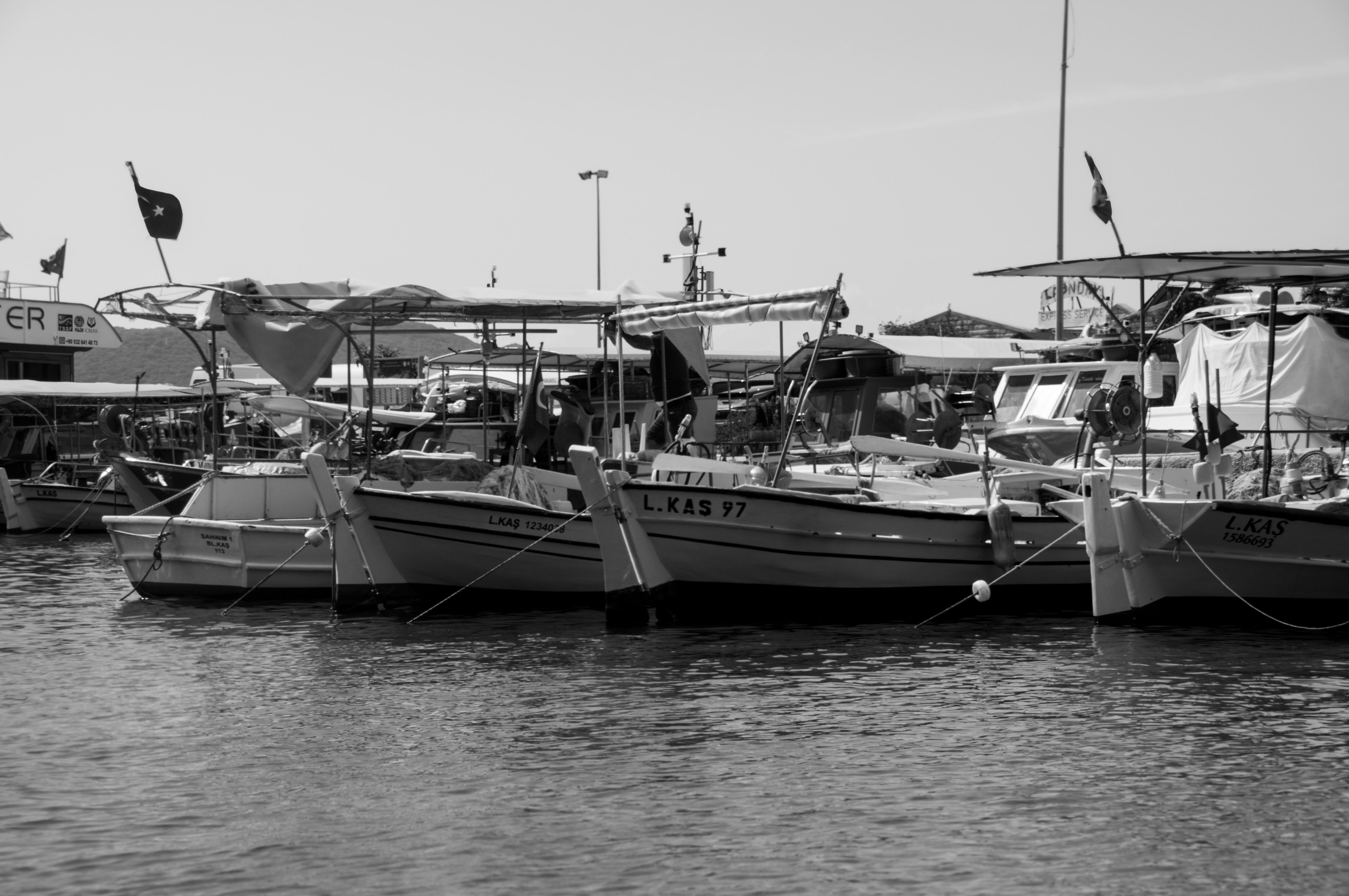 Black and White Harbor Scene with Boats · Free Stock Photo