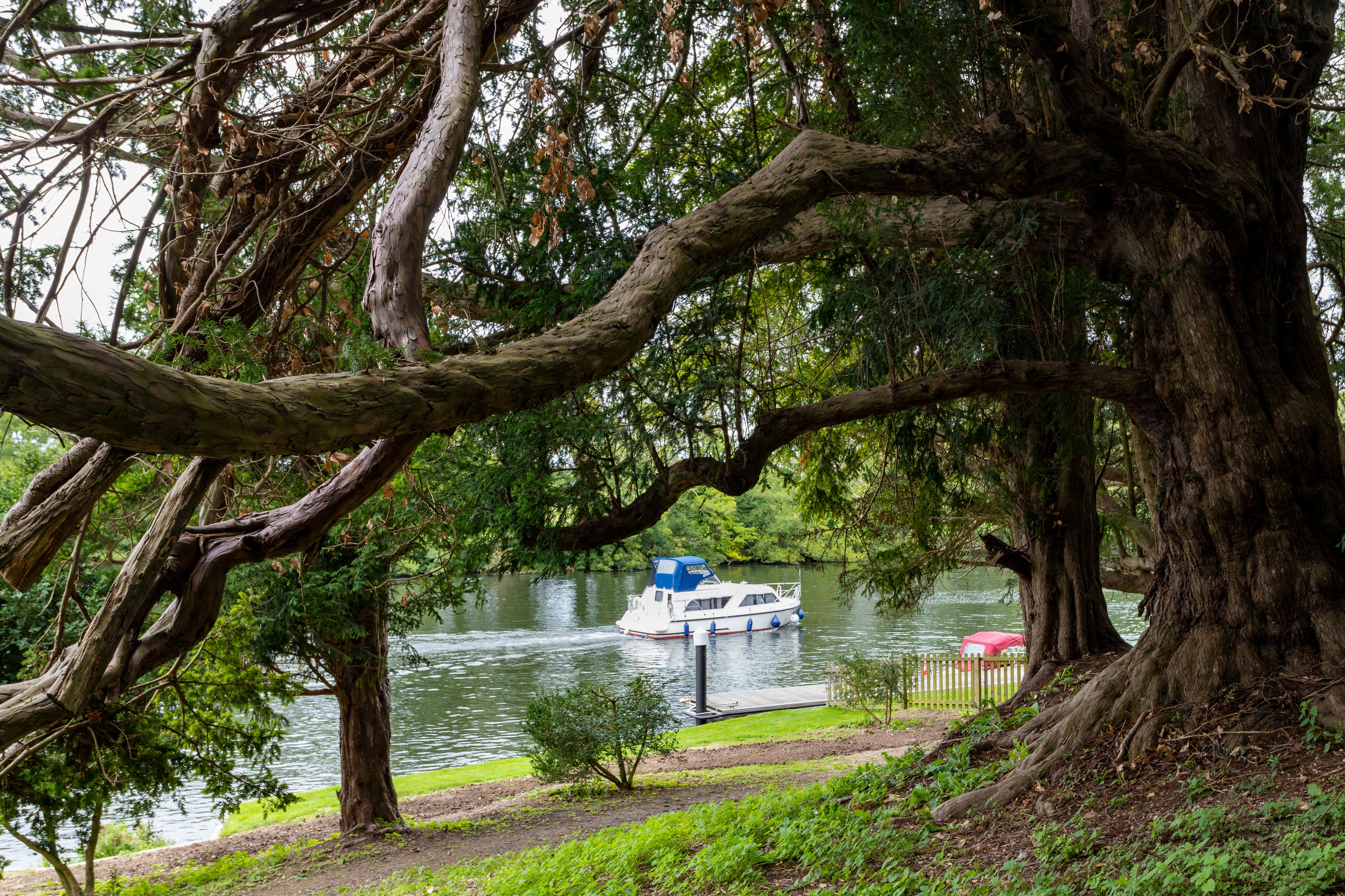 Serene River Scene with Boat Through Trees · Free Stock Photo