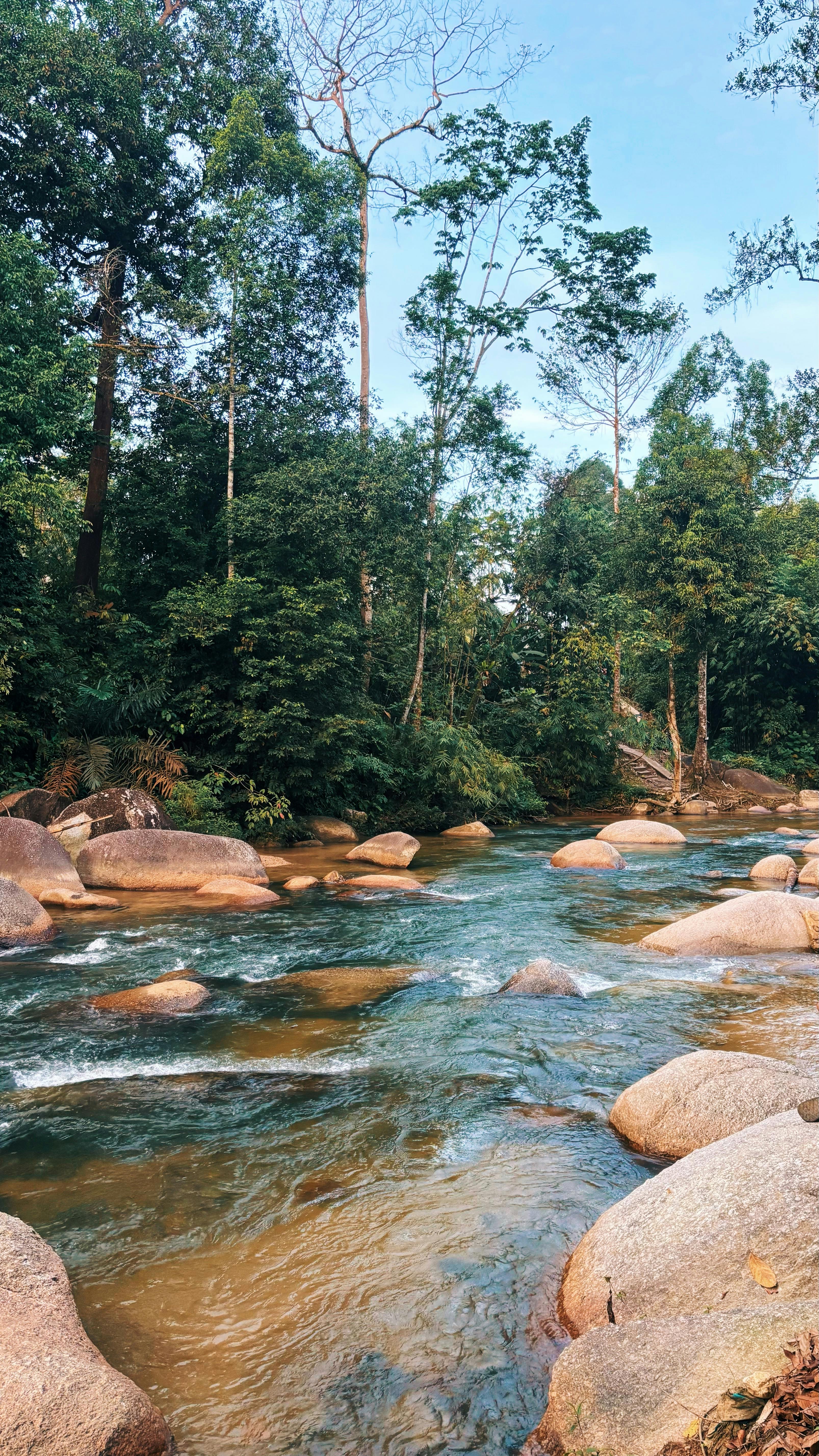 Batang+Nagwawalis+Clipart Photos, Download The BEST Free Batang ...