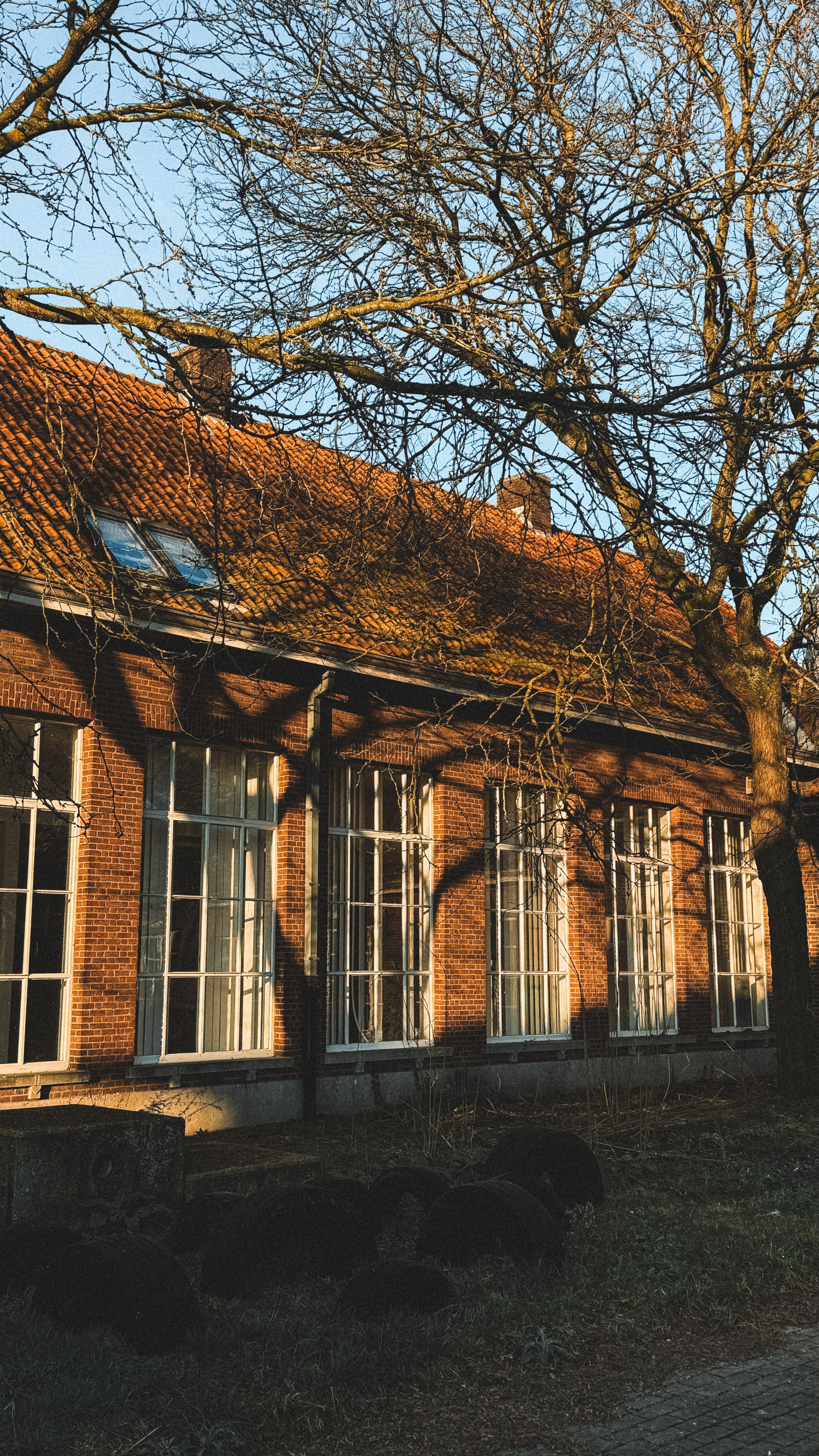 Charming Brick Building in Late Afternoon Light · Free Stock Photo