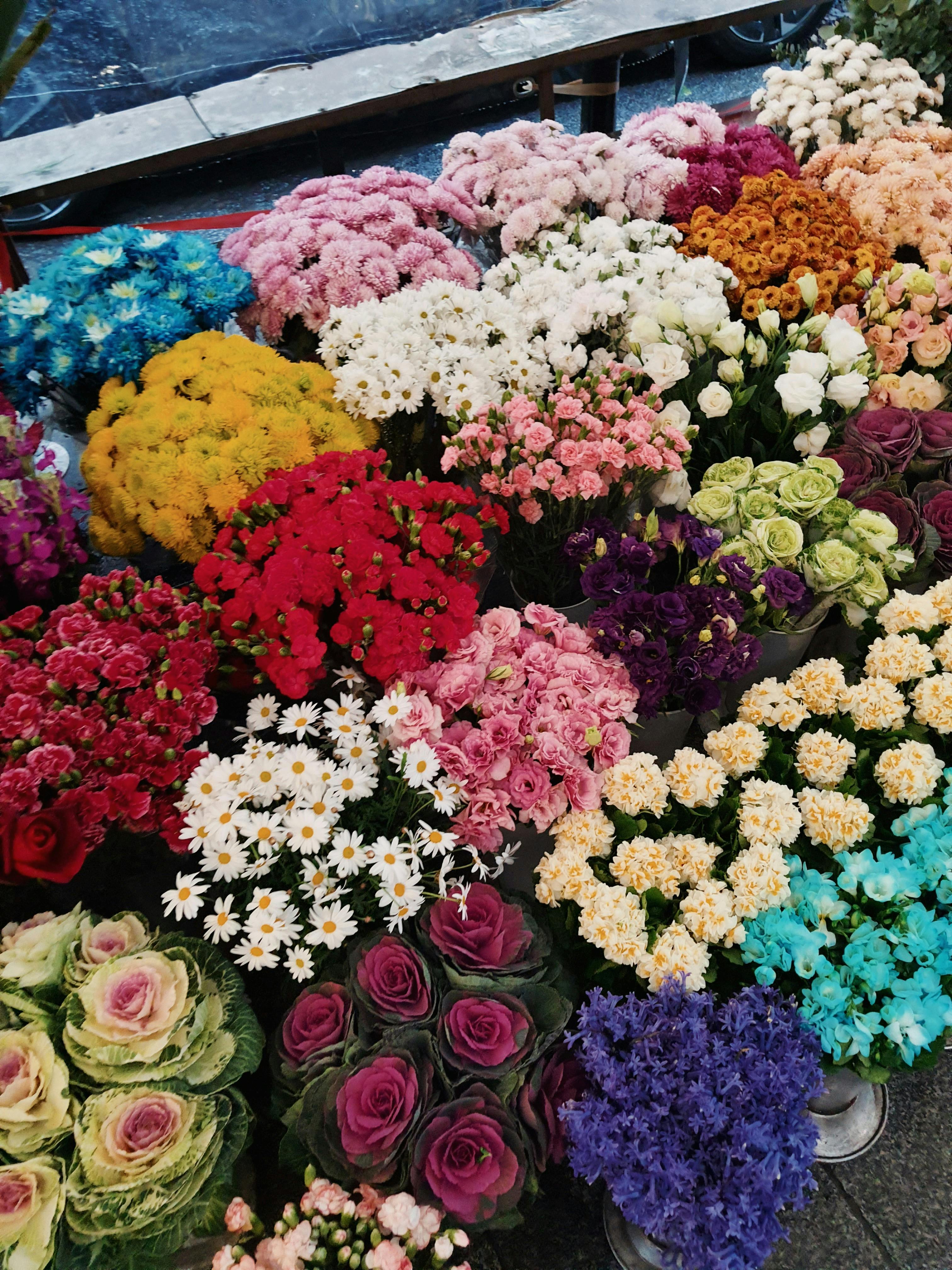 Vibrant Flower Market Display with Multicolored Blooms · Free Stock Photo
