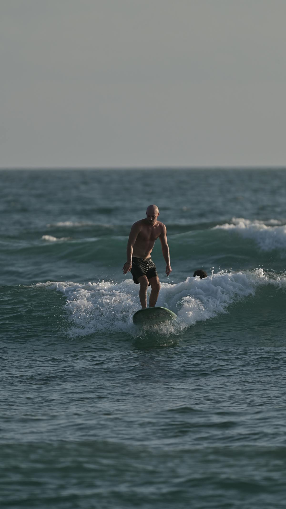 Surf And Surf Lobster Photos, Download The BEST Free Surf And Surf ...