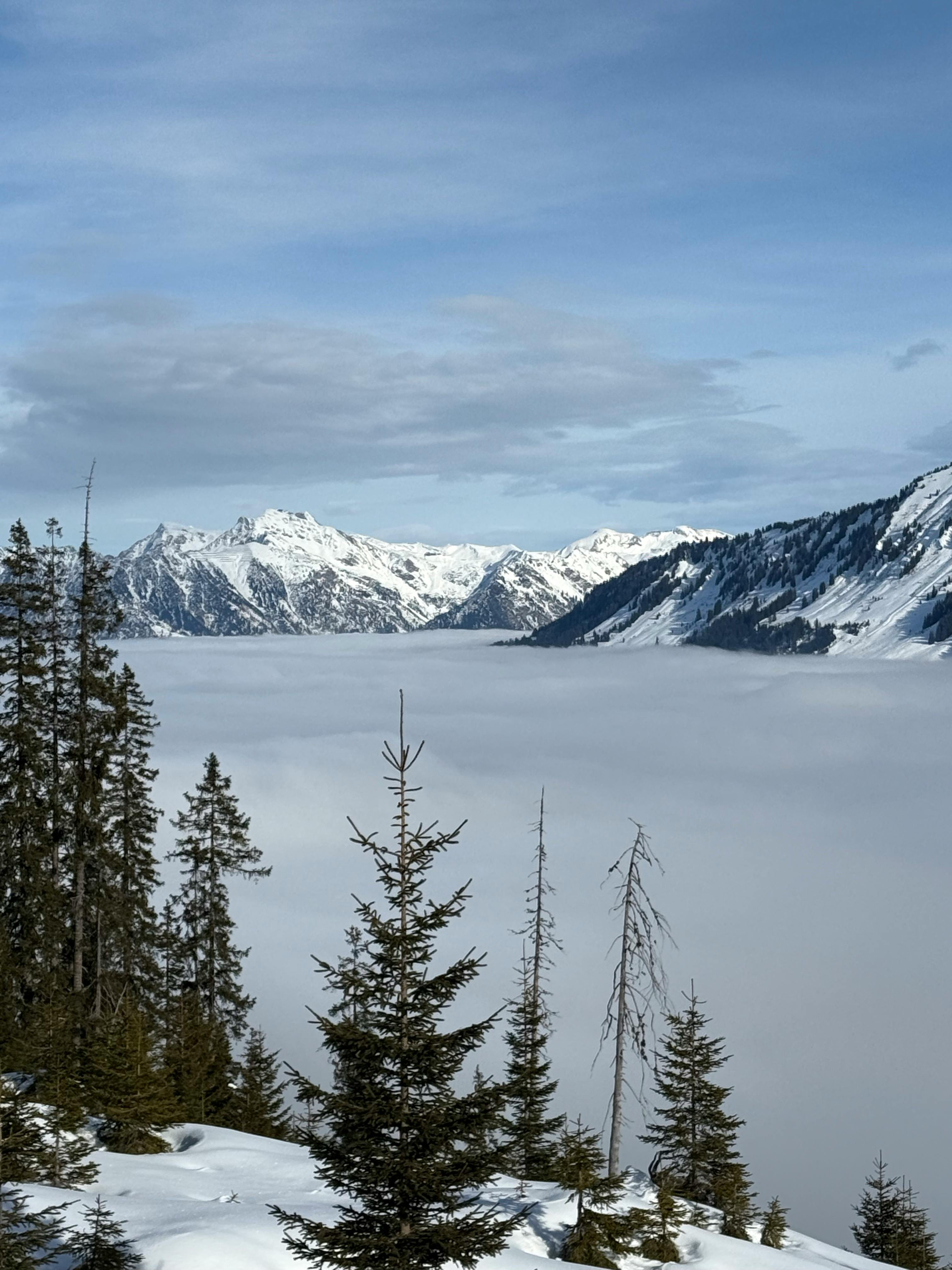 Snowy Alpine Landscape with Valley Fog · Free Stock Photo
