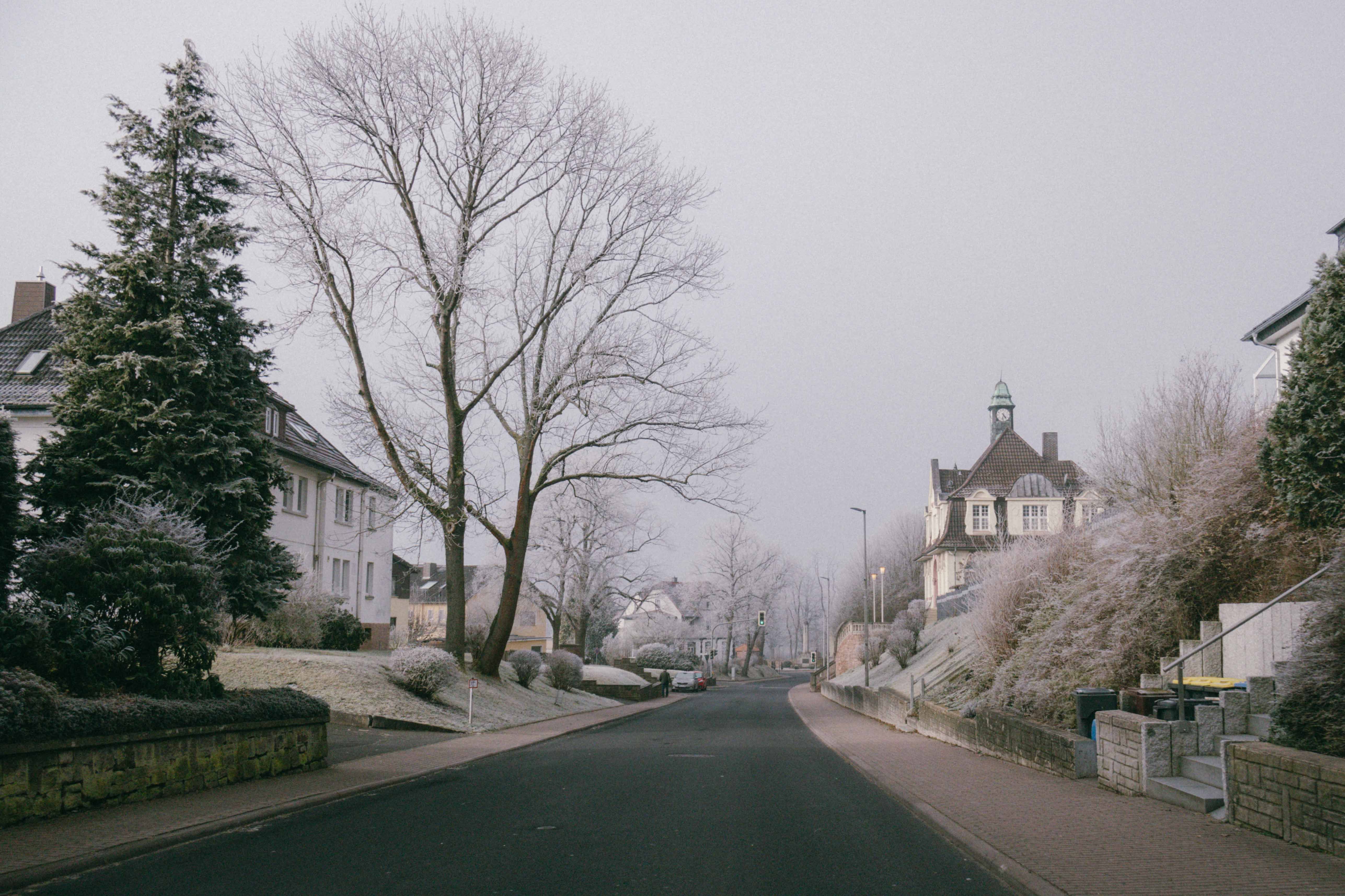 Frosty Winter Street in Serene Suburban Neighborhood · Free Stock Photo