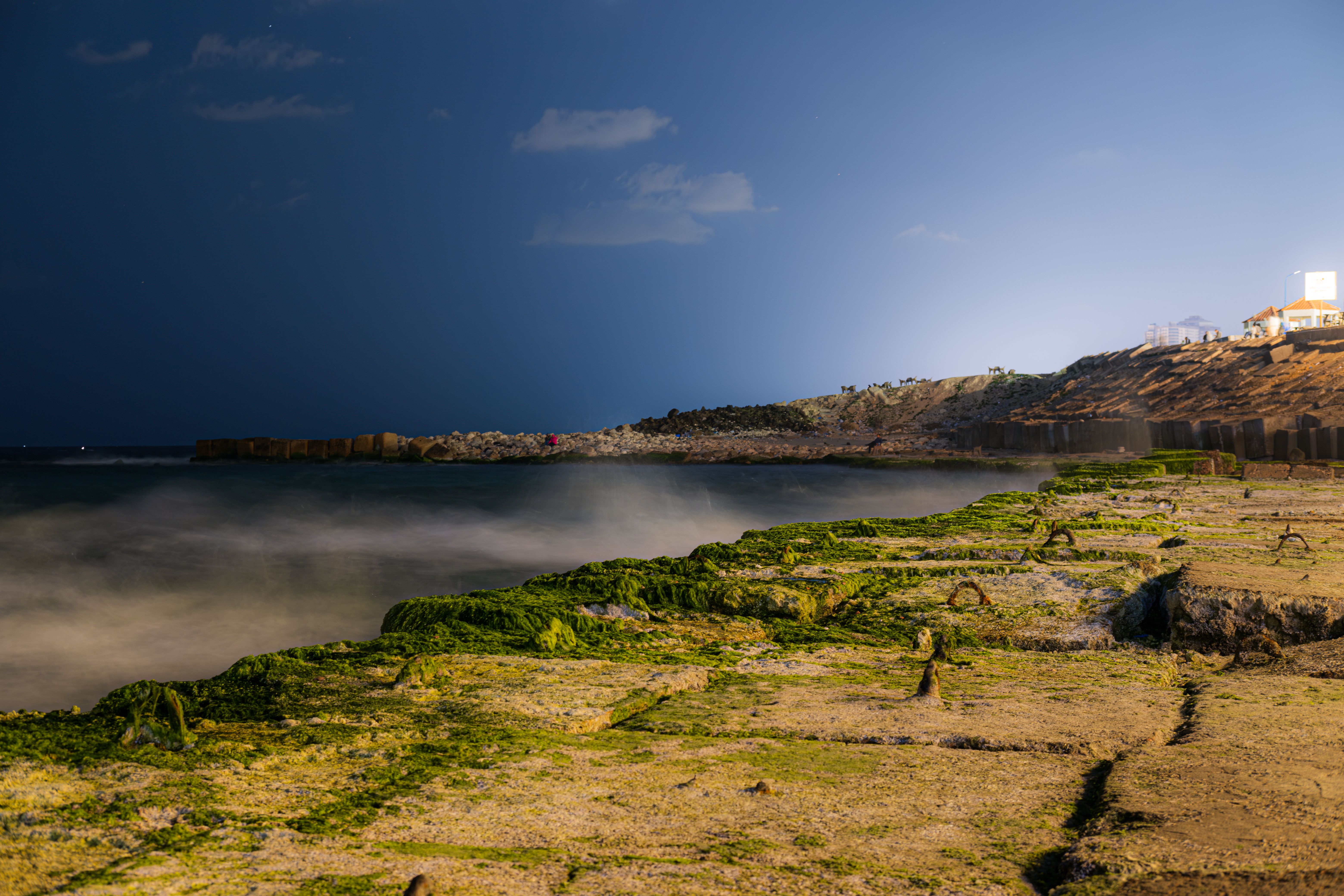 Coastal Landscape at Night with Seaweed · Free Stock Photo