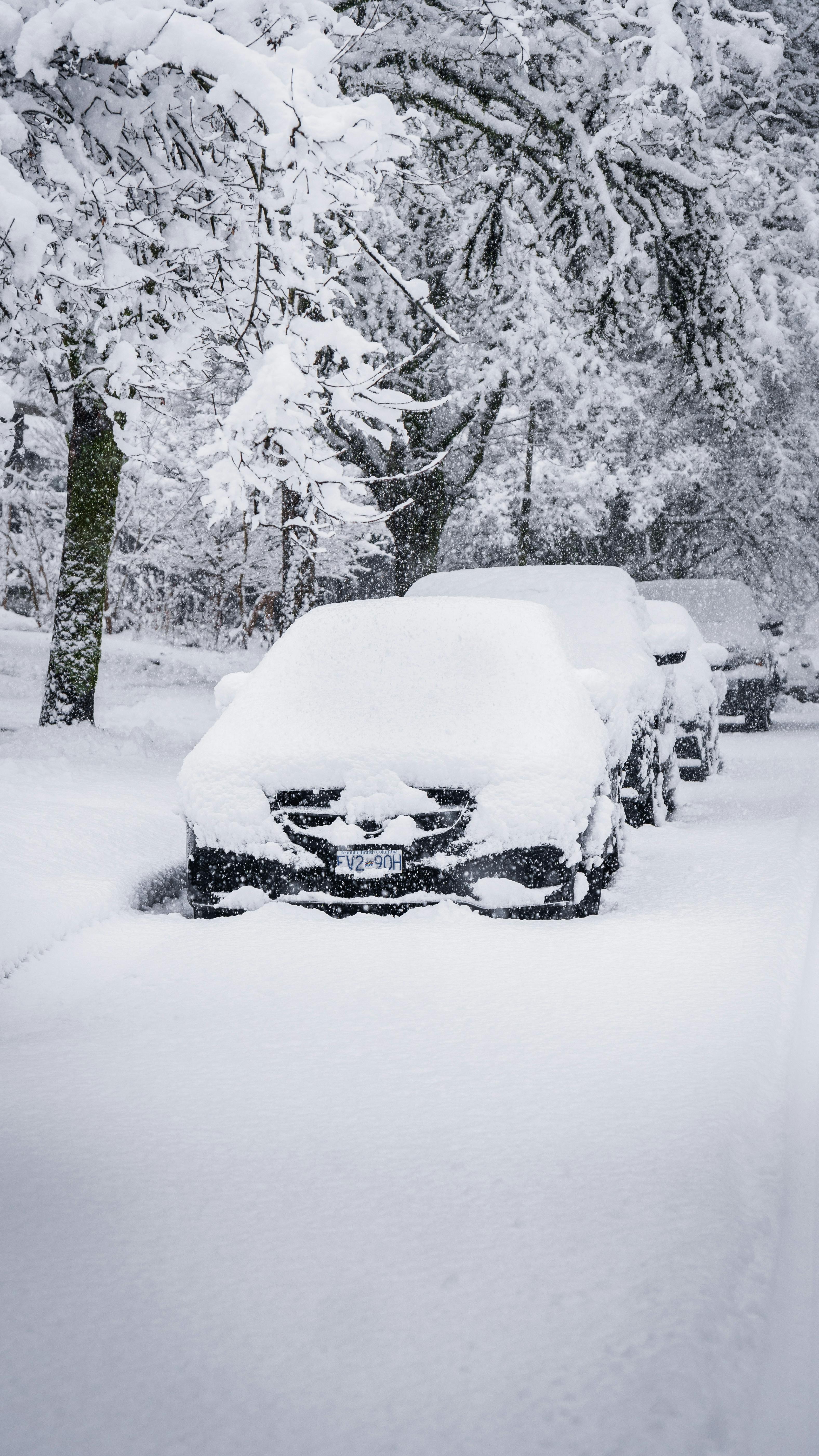 Heavy Snowfall Covers Parked Cars in Vancouver · Free Stock Photo