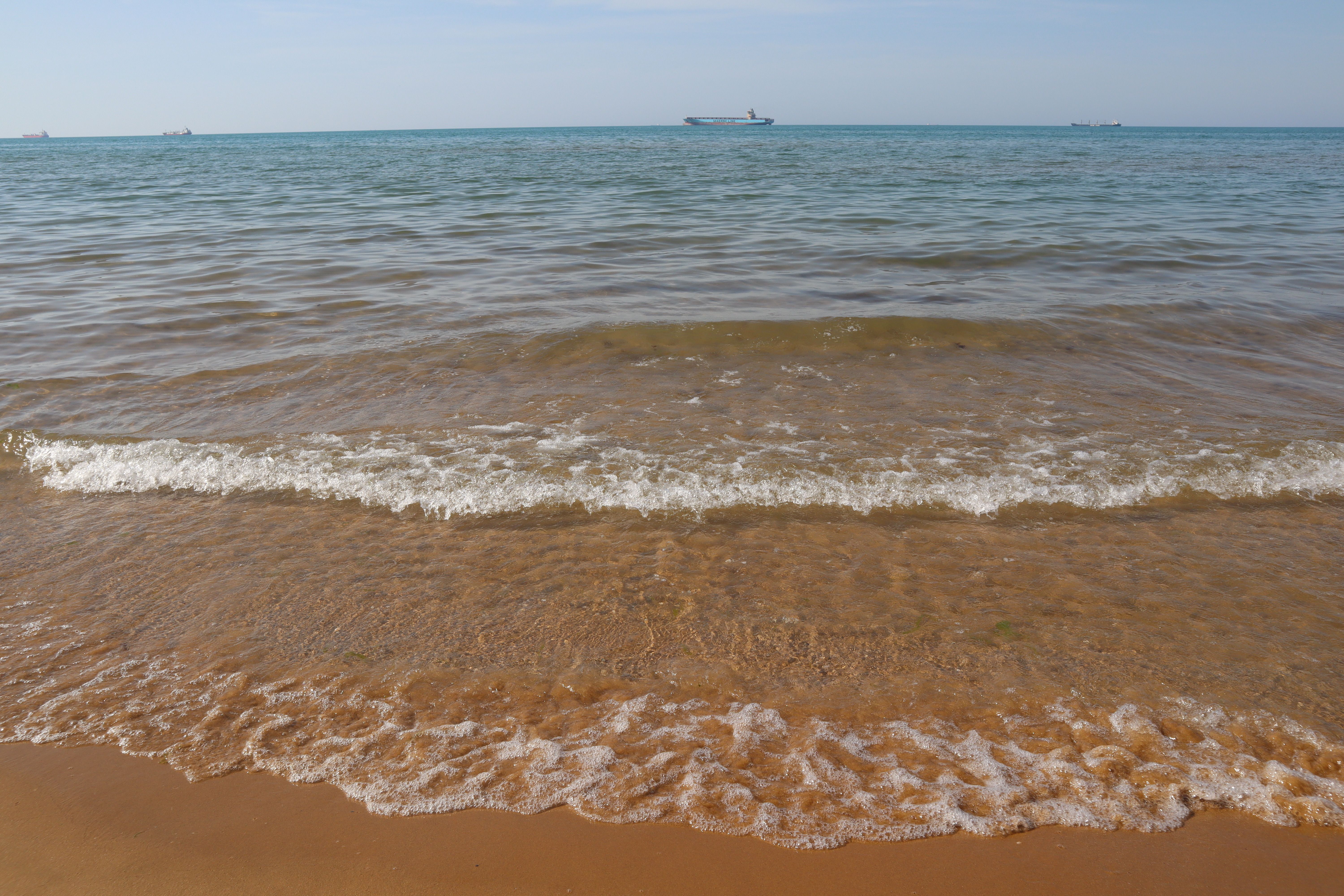 Serene Ocean Wave Gently Lapping on Sandy Beach · Free Stock Photo