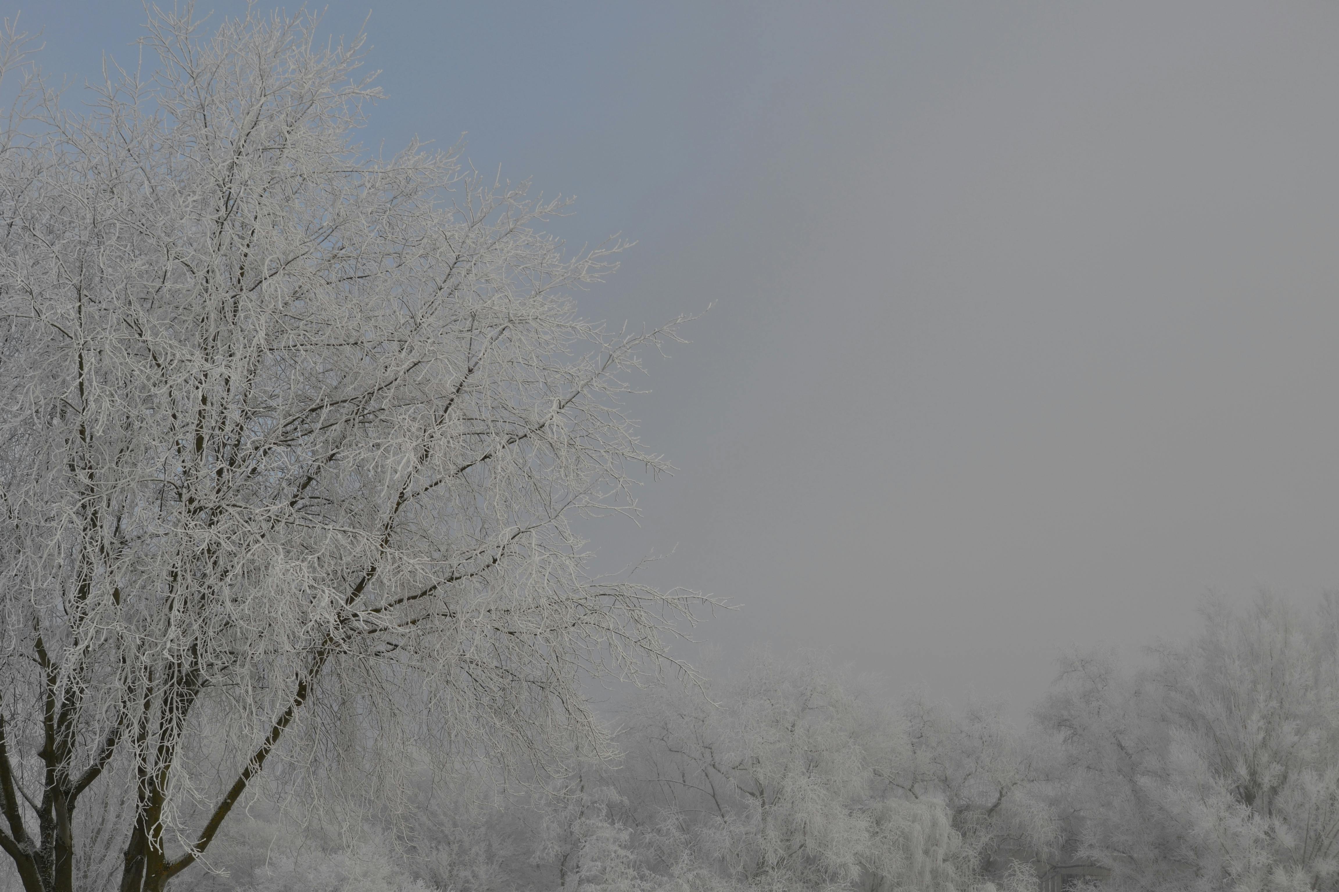 Paisaje Invernal 14 · Foto de stock gratuita