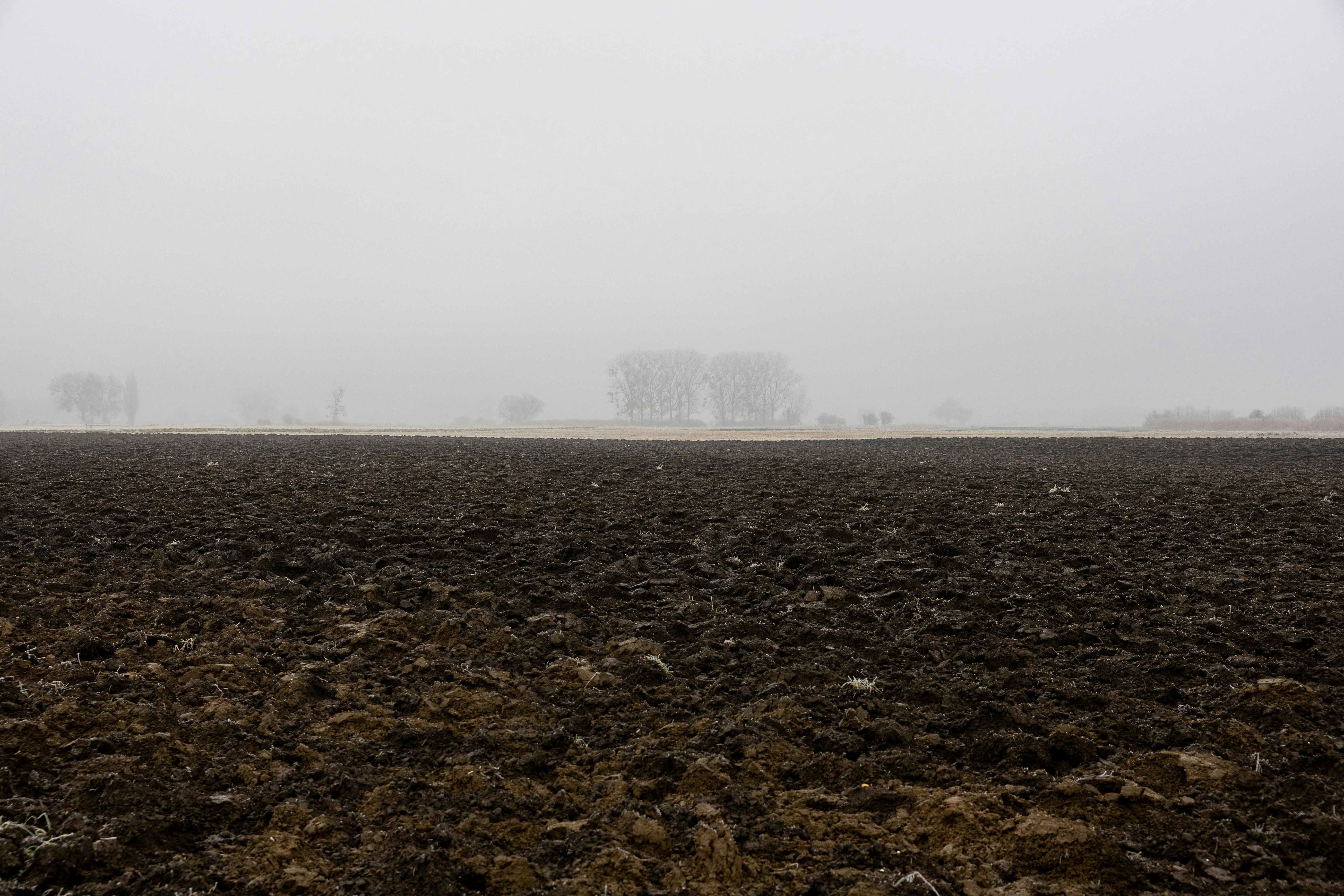 Foggy Winter View of a Plowed Field · Free Stock Photo