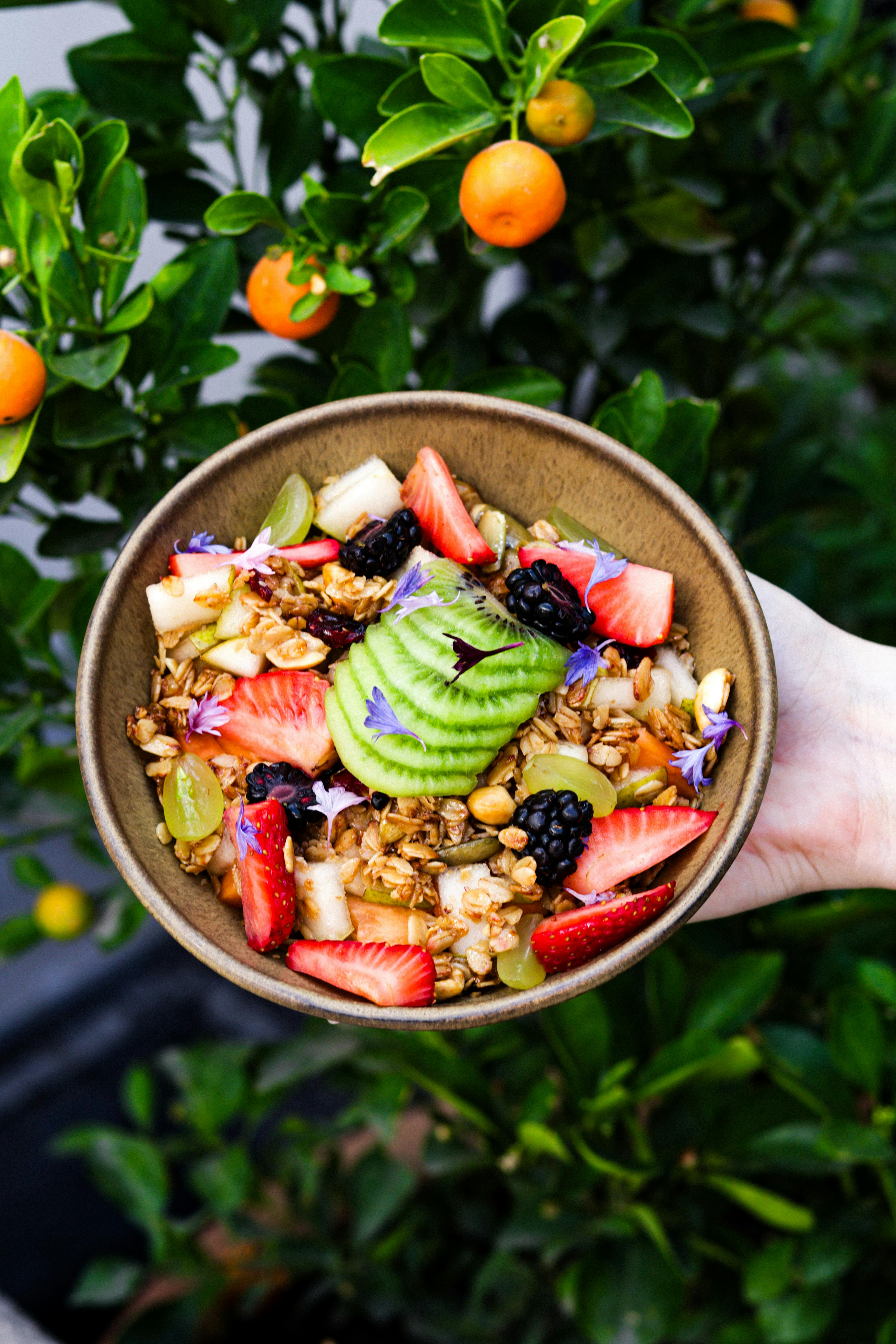 Colorful Granola Bowl with Fresh Fruits Outdoors · Free Stock Photo