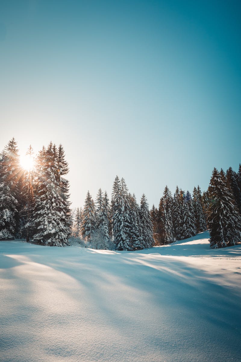 February Landscape Photos, Download The BEST Free February Landscape ...