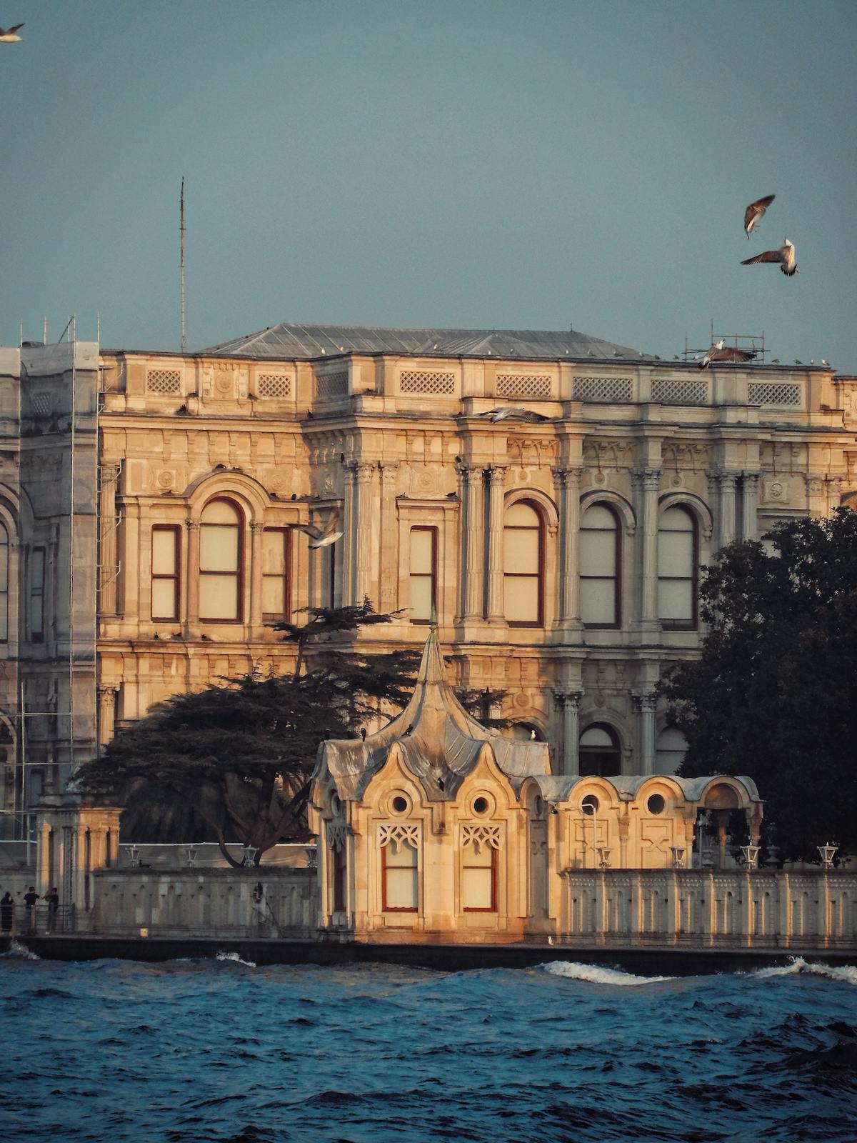 Sea Eater Photos, Download The BEST Free Sea Eater Stock Photos & HD Images