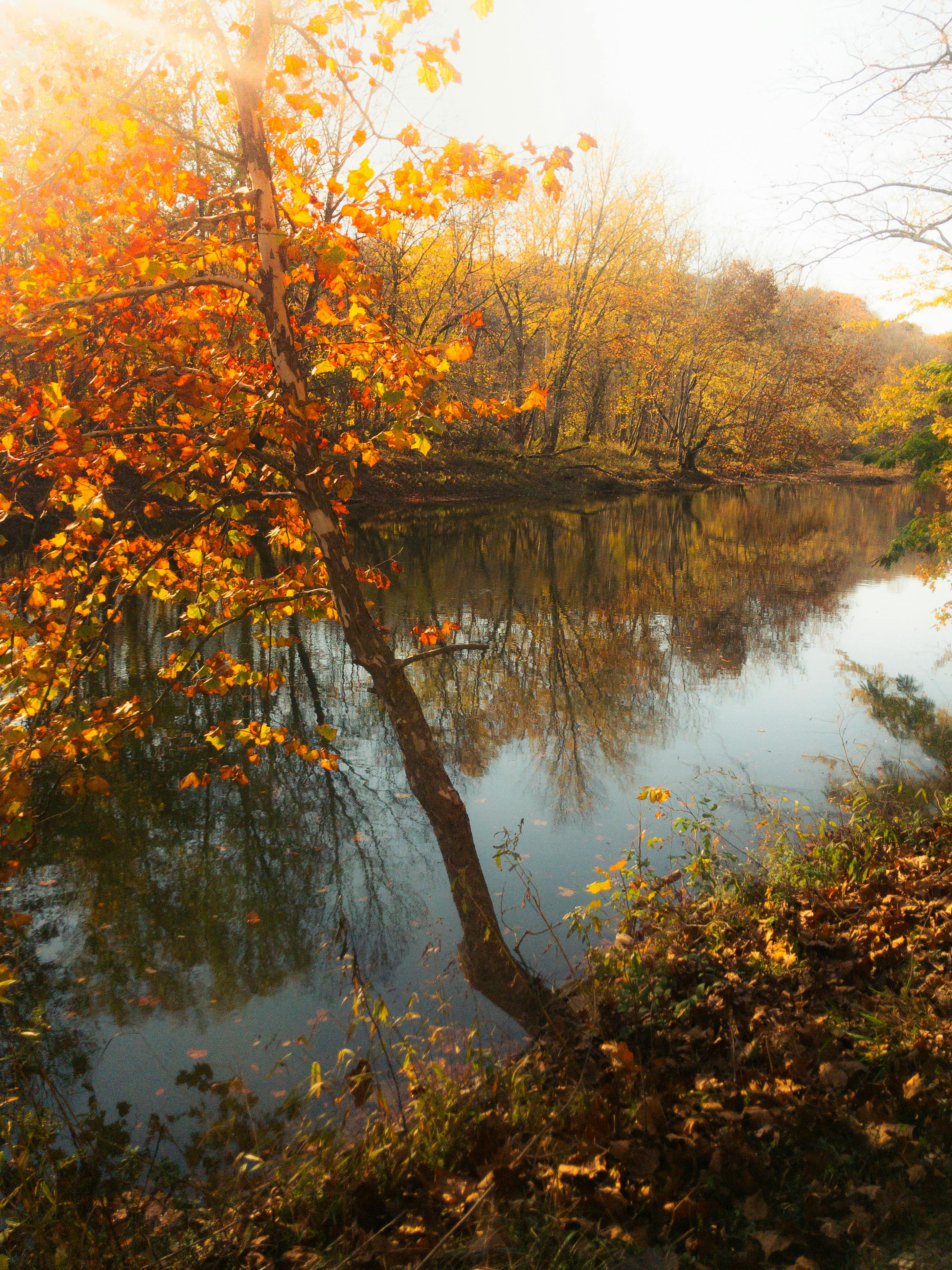Scenic Autumn River Landscape in Ohio · Free Stock Photo