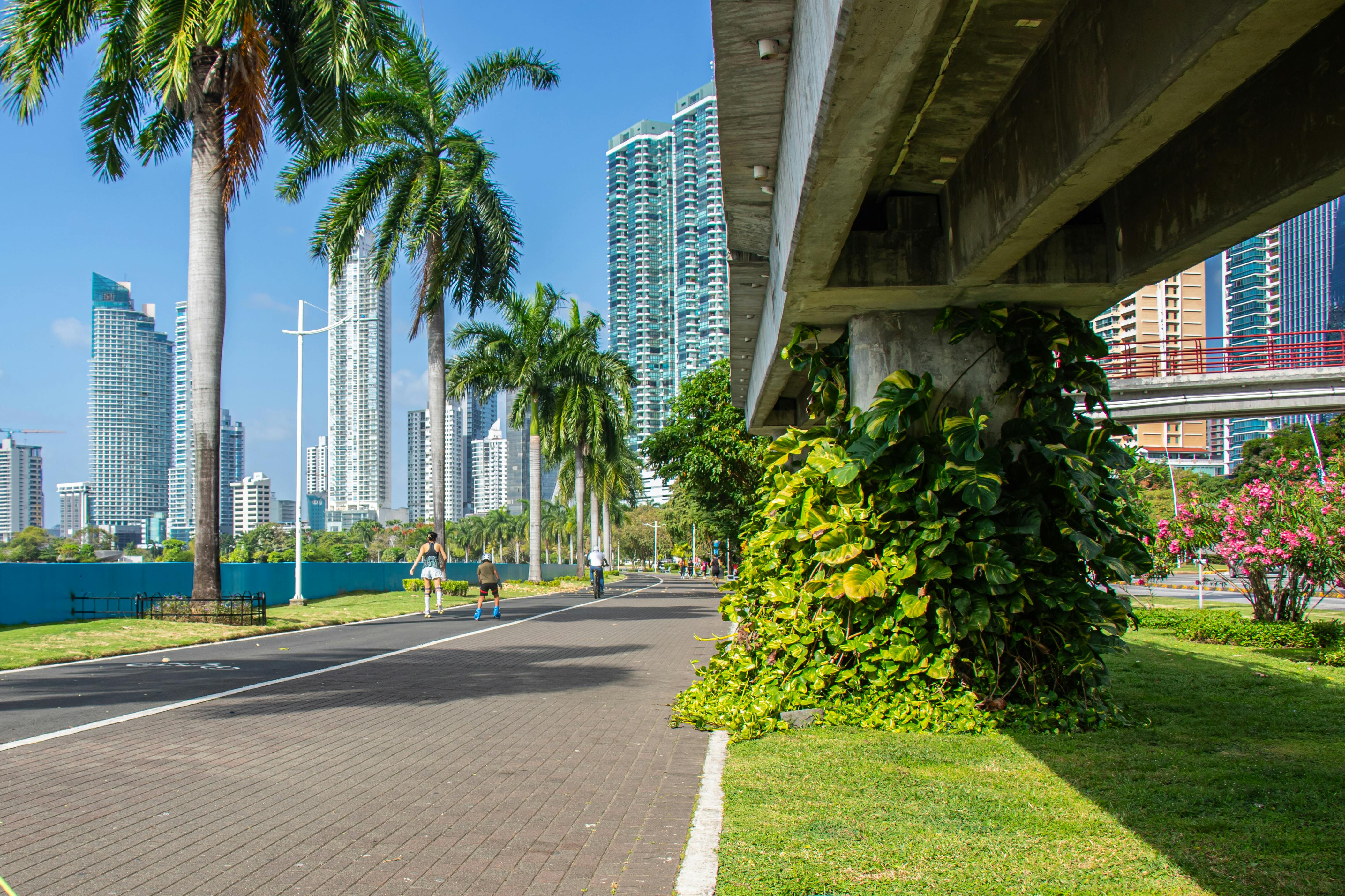 Street View with Skyscrapers and Palm Trees · Free Stock Photo