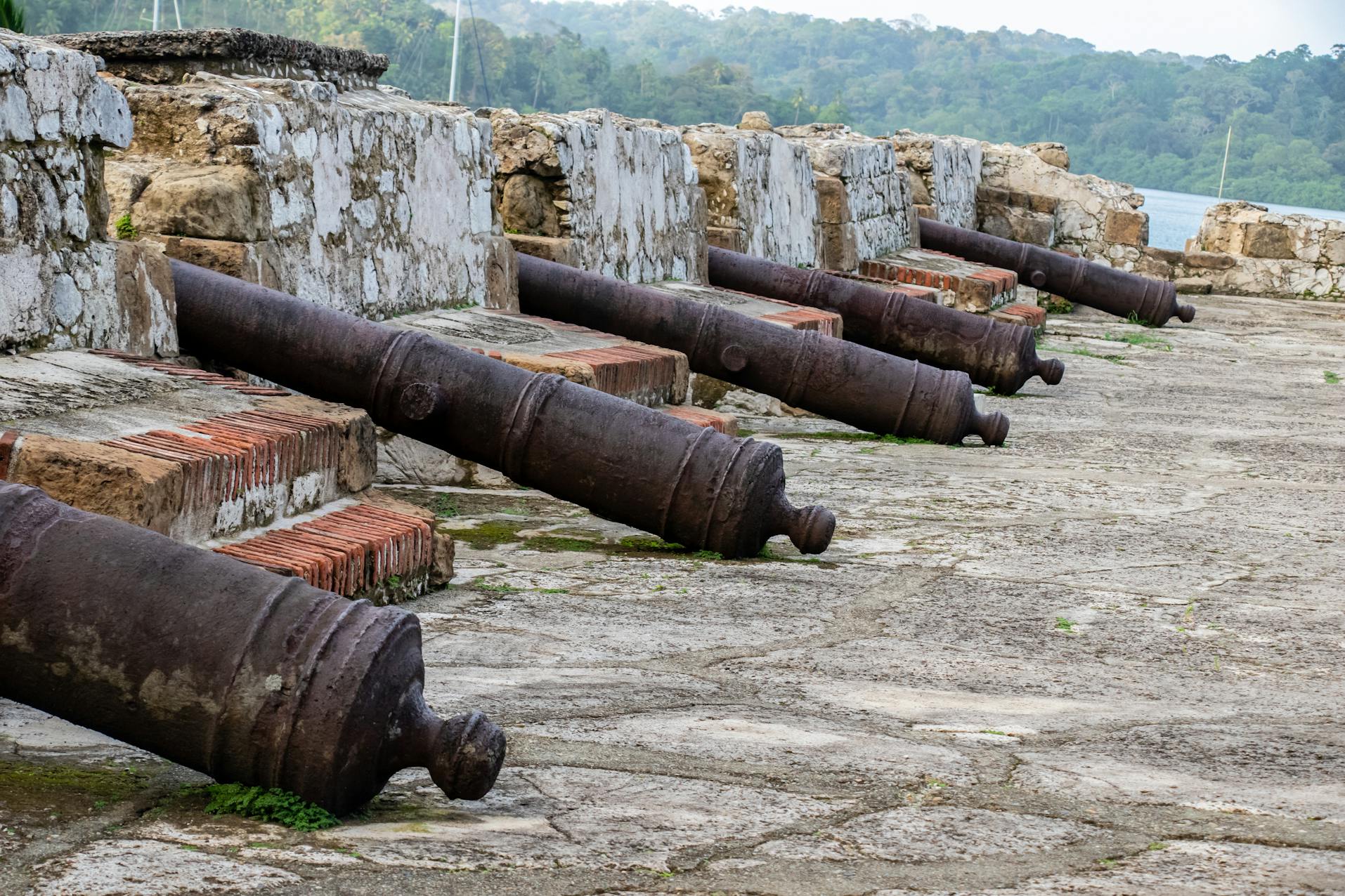 Onager Animal Facts and Conservation Status Explained