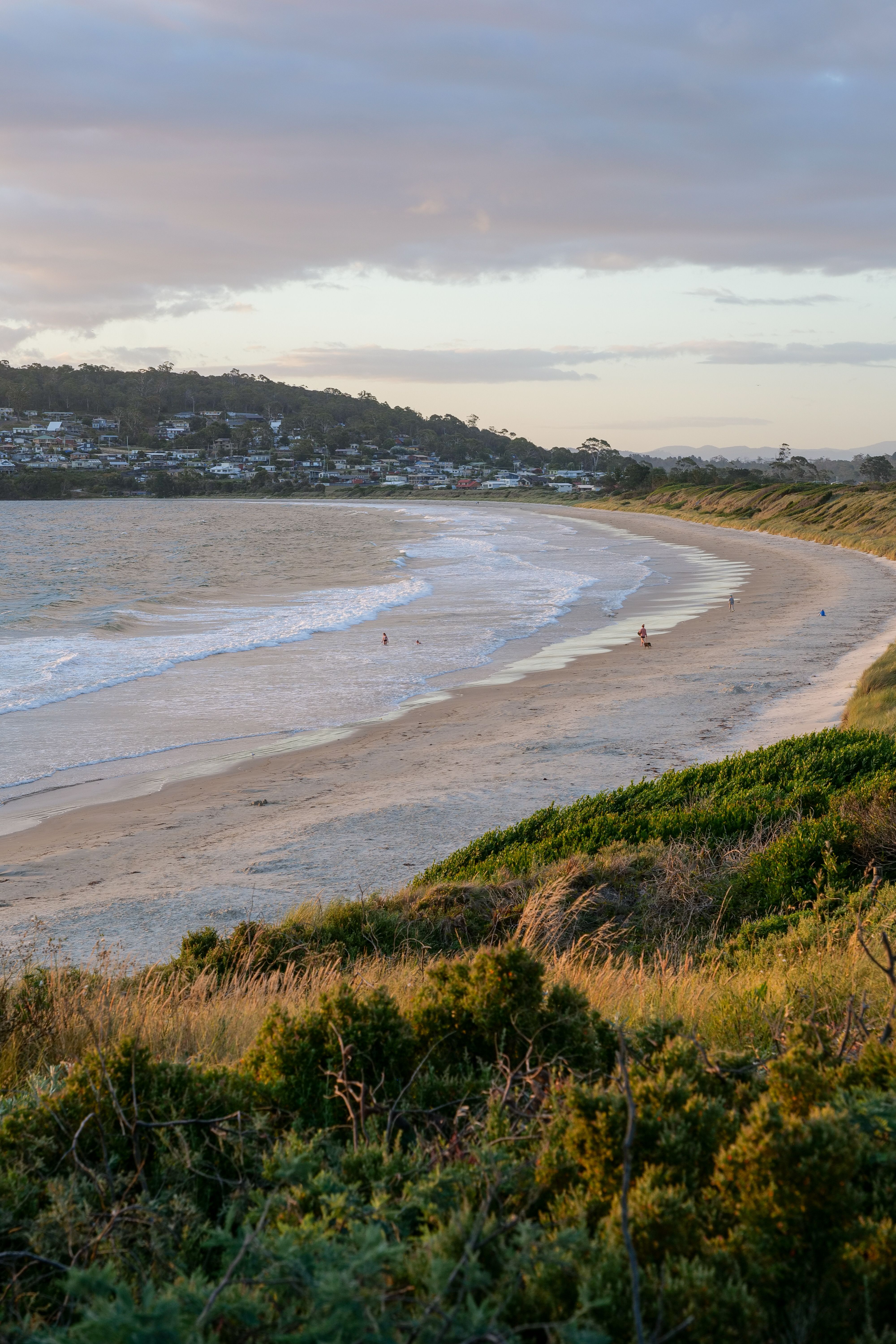 Scenic Sunset Beach in Tasmania, Australia · Free Stock Photo