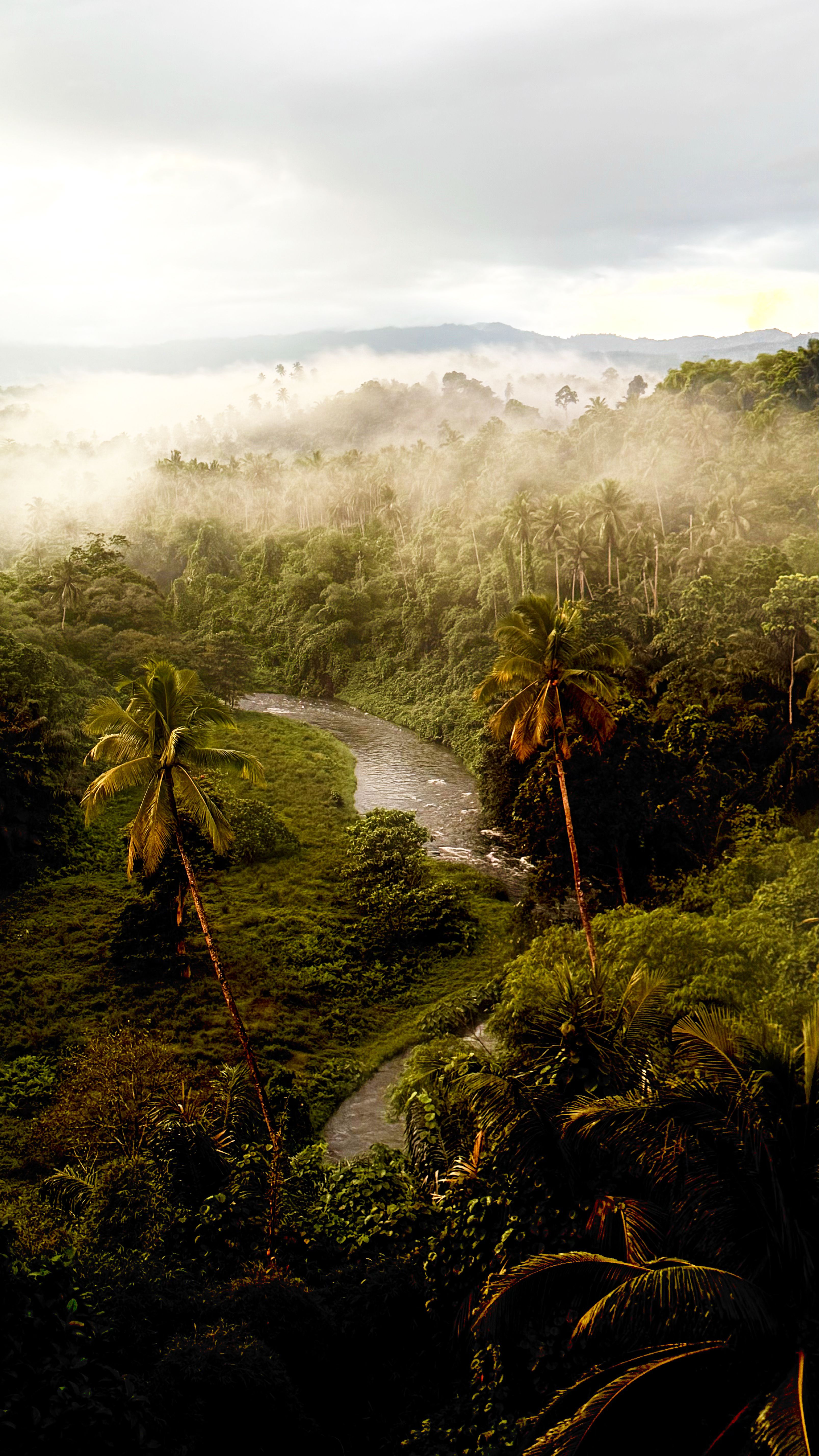 Sulawesi Photos, Download The BEST Free Sulawesi Stock Photos & HD Images