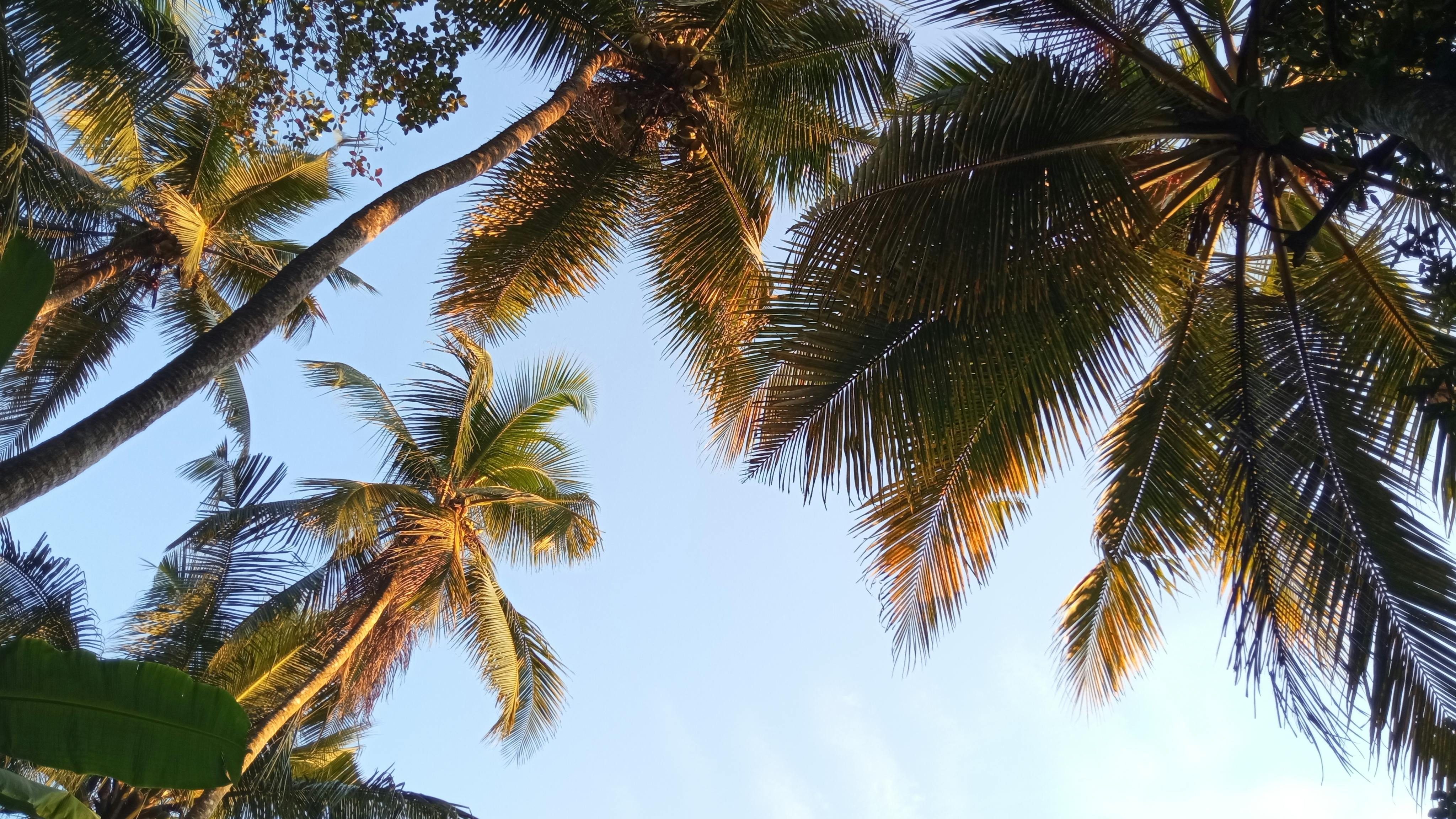 Freeformatter+Secunecias+De+Escape Photos, Download The BEST Free ...