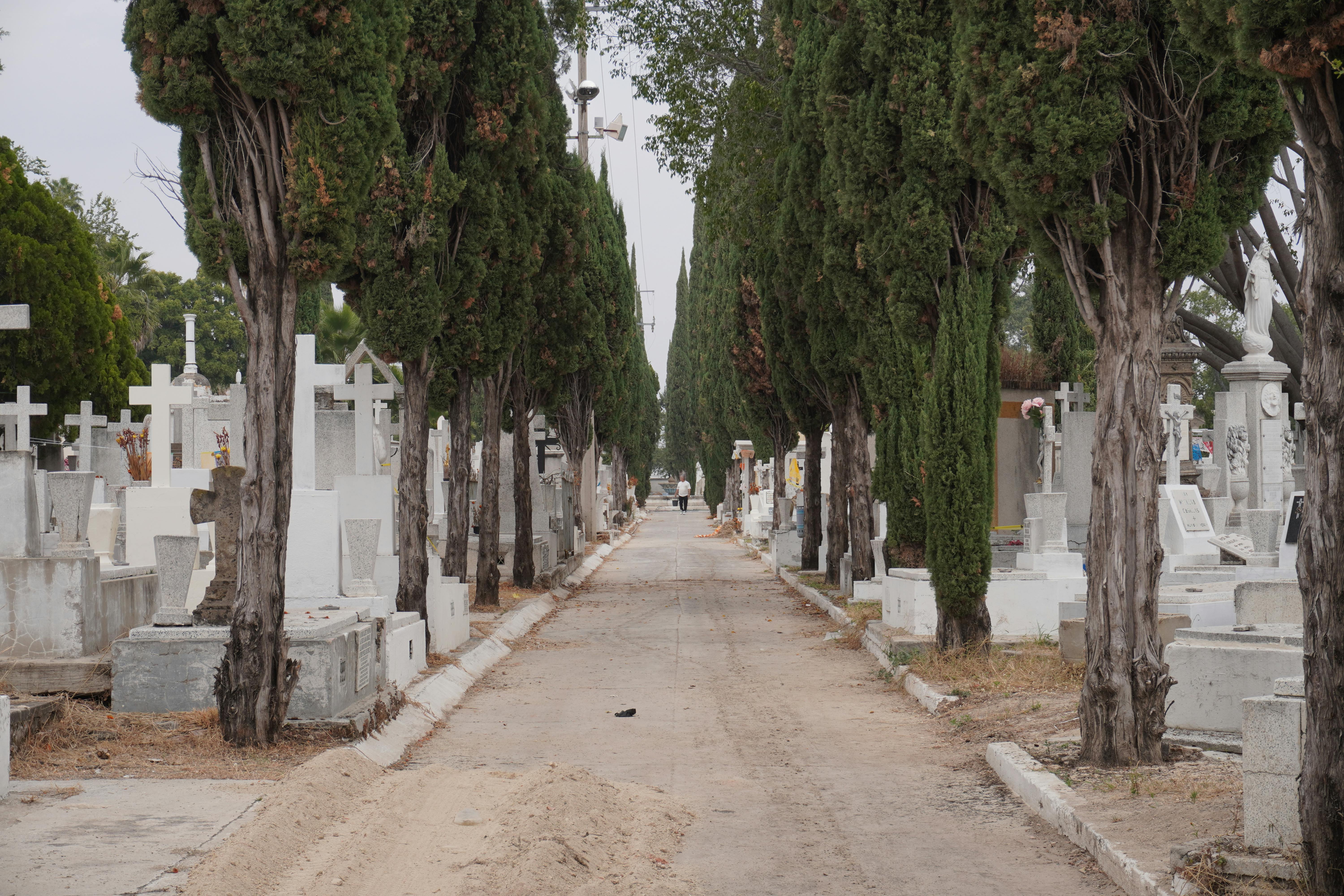 Serene Path in Guadalajara Cemetery · Free Stock Photo