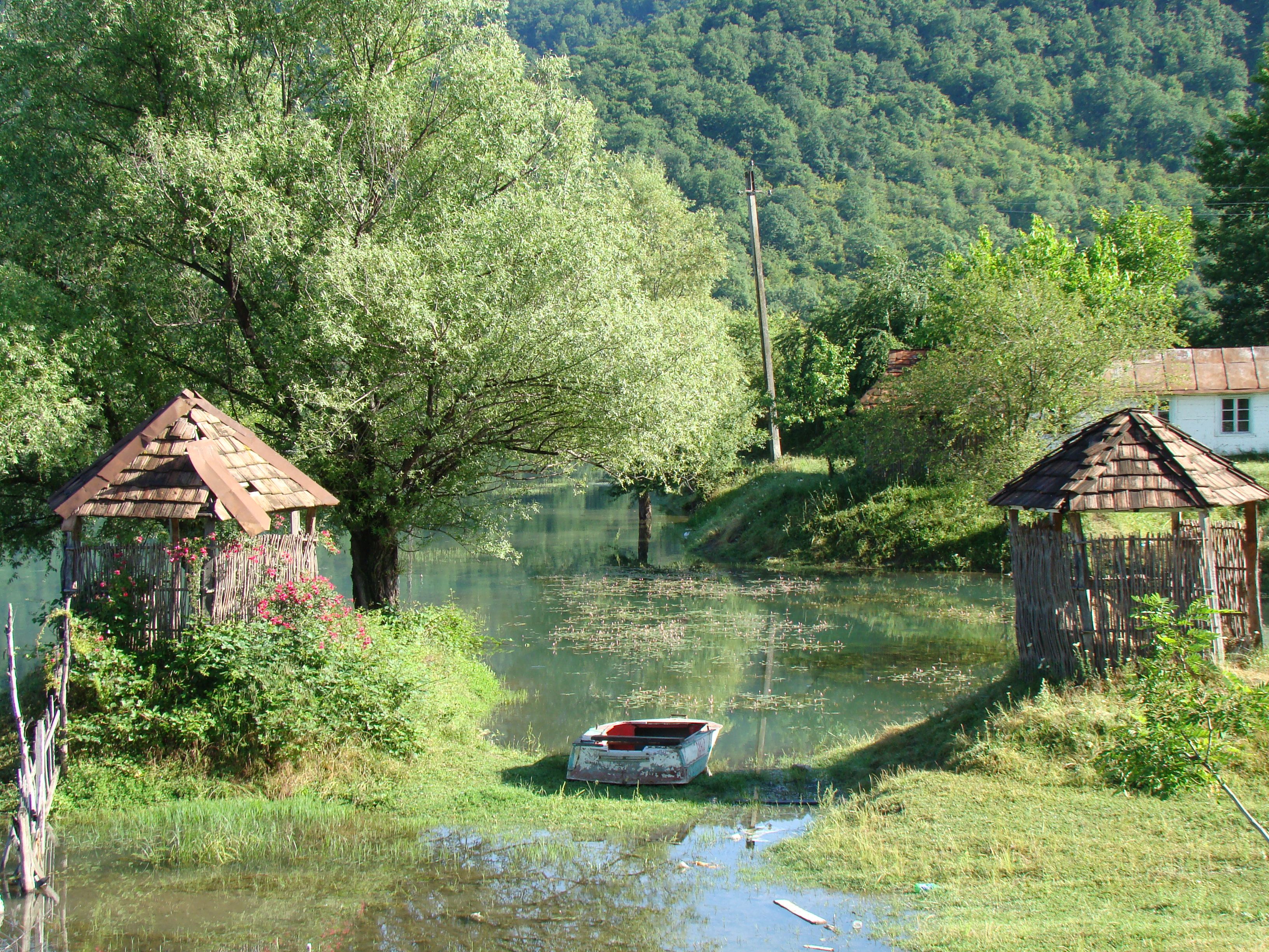 Serene Riverside Landscape with Small Boat · Free Stock Photo