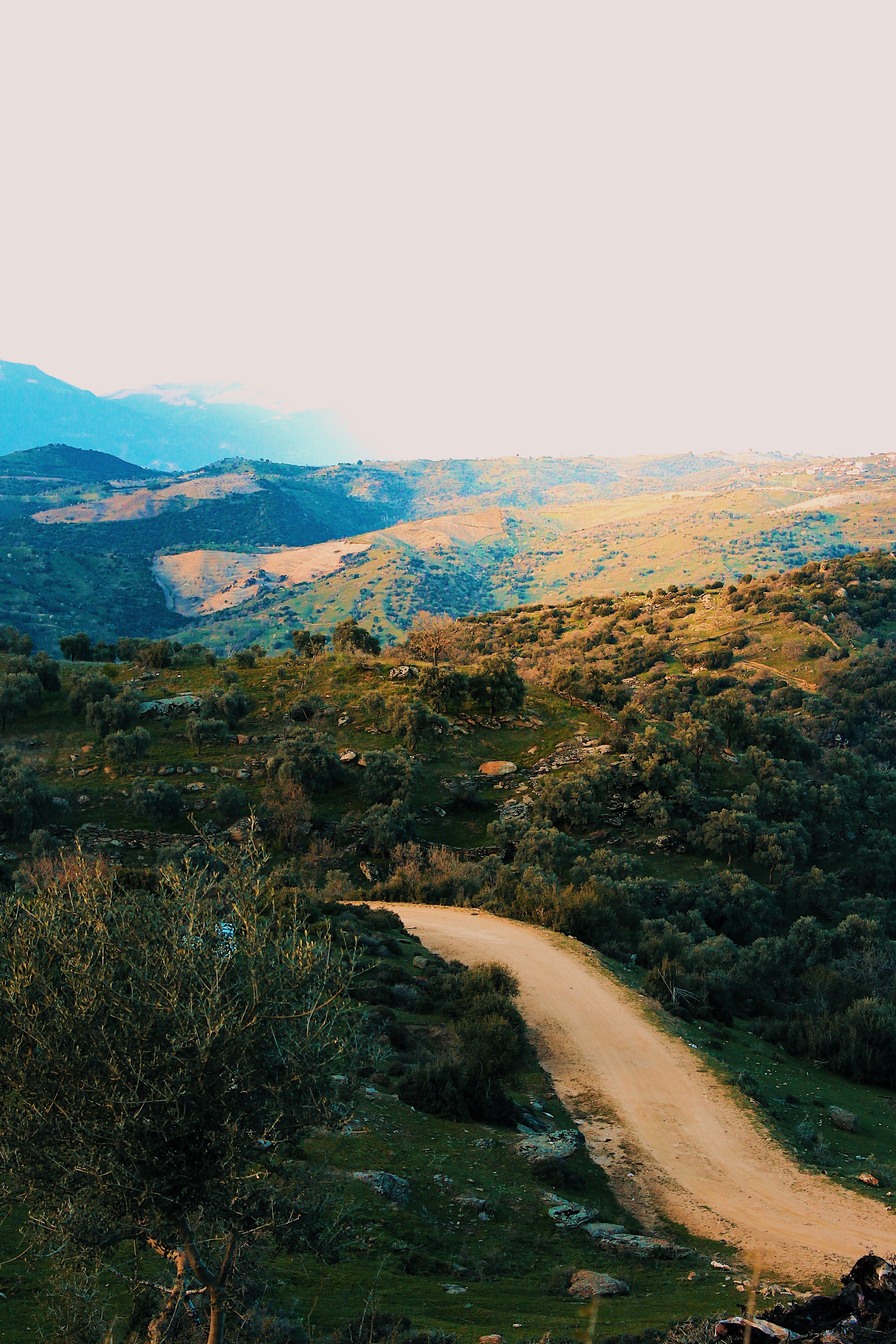 Scenic mountain landscape with winding path · Free Stock Photo