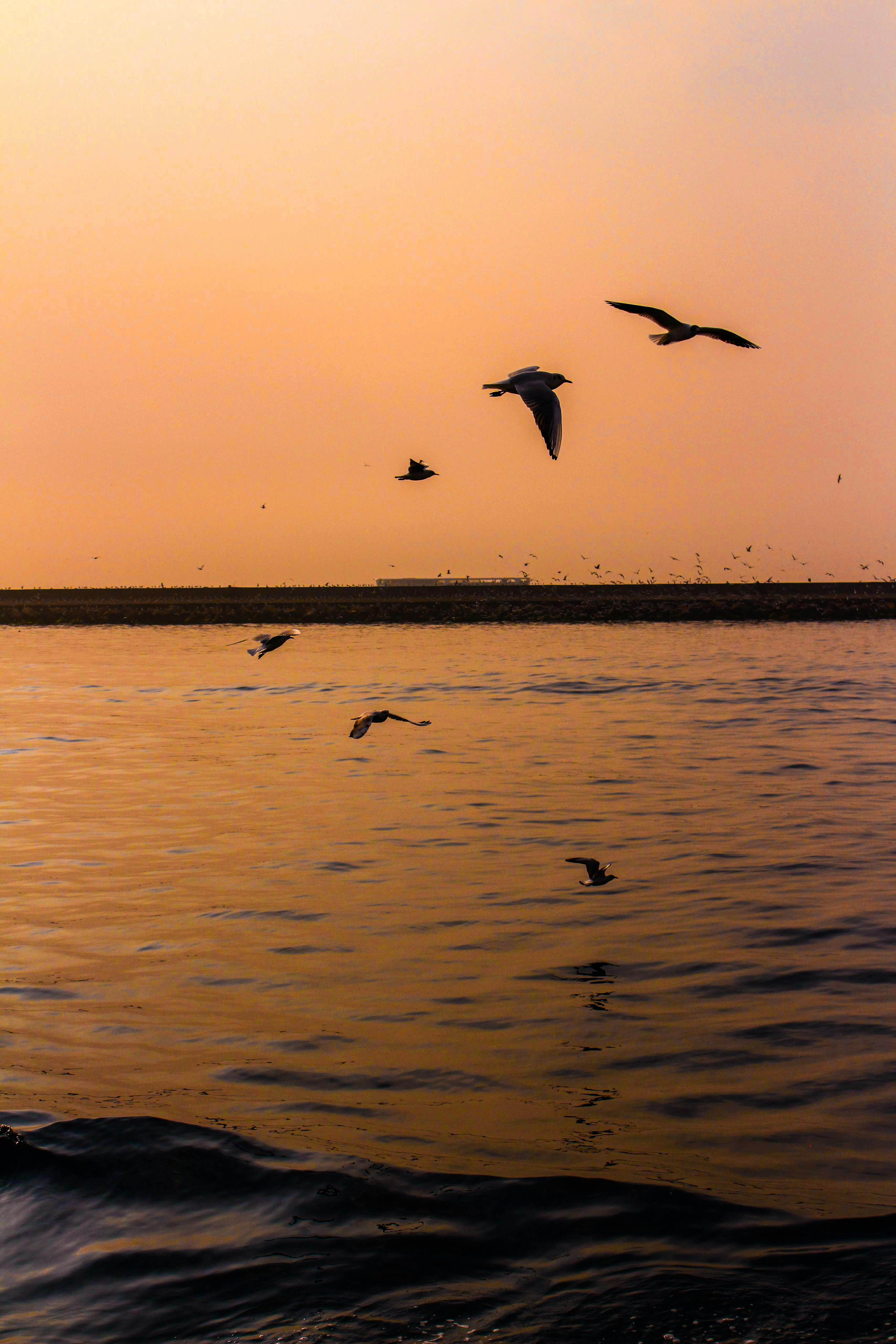 Free Back View Photos, Download The BEST Free Free Back View Stock ...