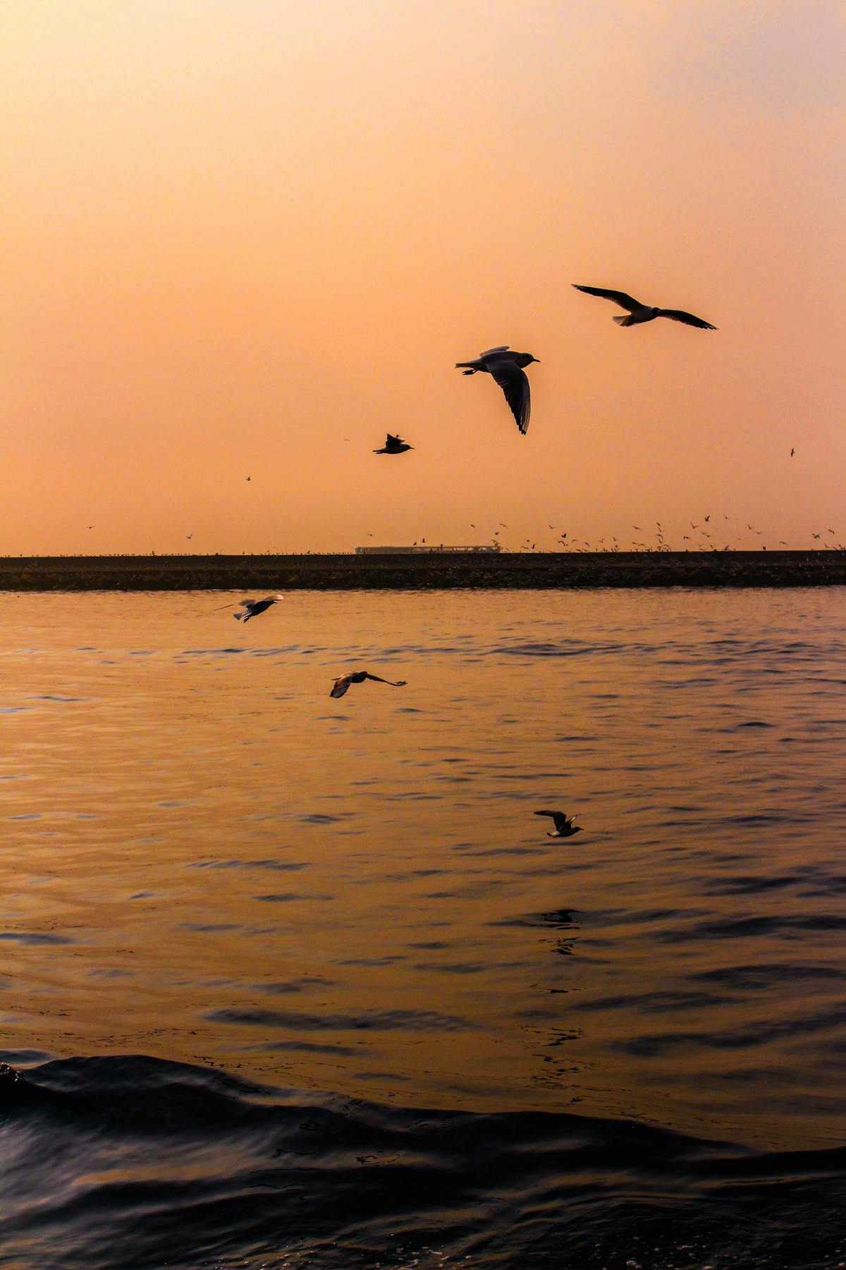 Free Sunset Photos, Download The BEST Free Free Sunset Stock Photos ...