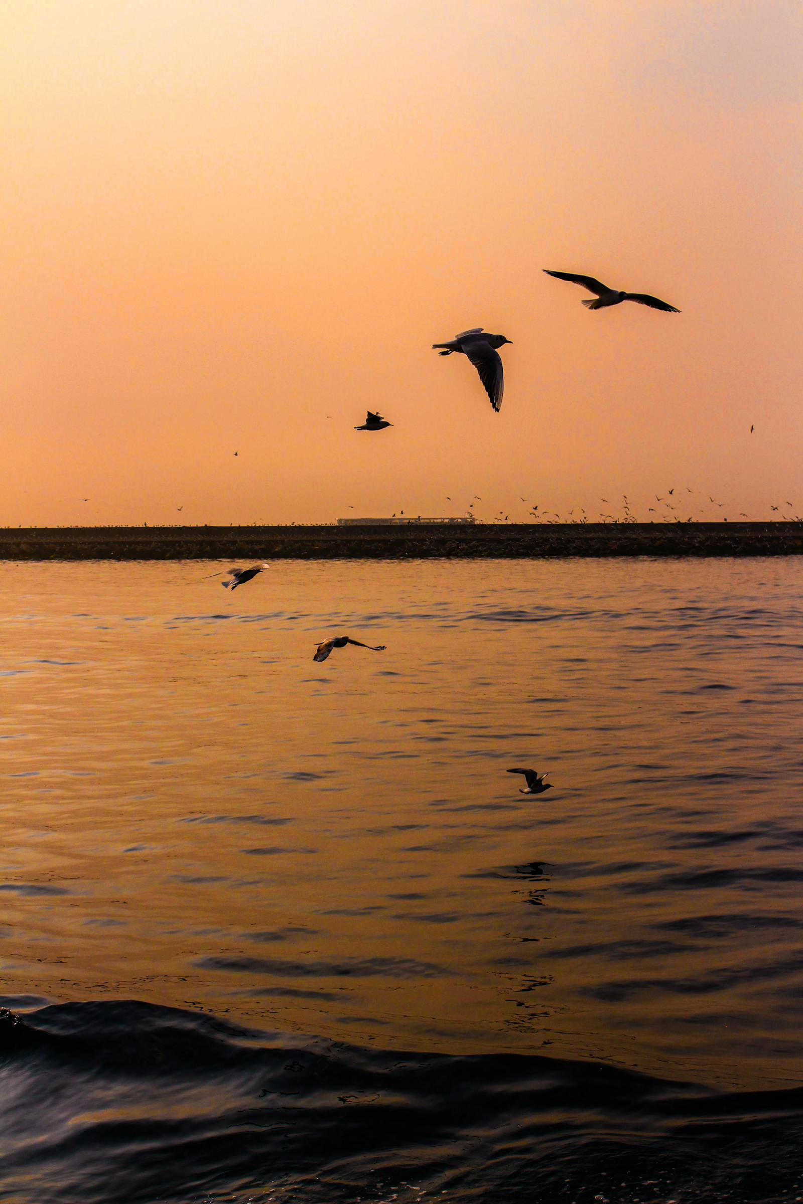 Free Sunset Photos, Download The BEST Free Free Sunset Stock Photos ...