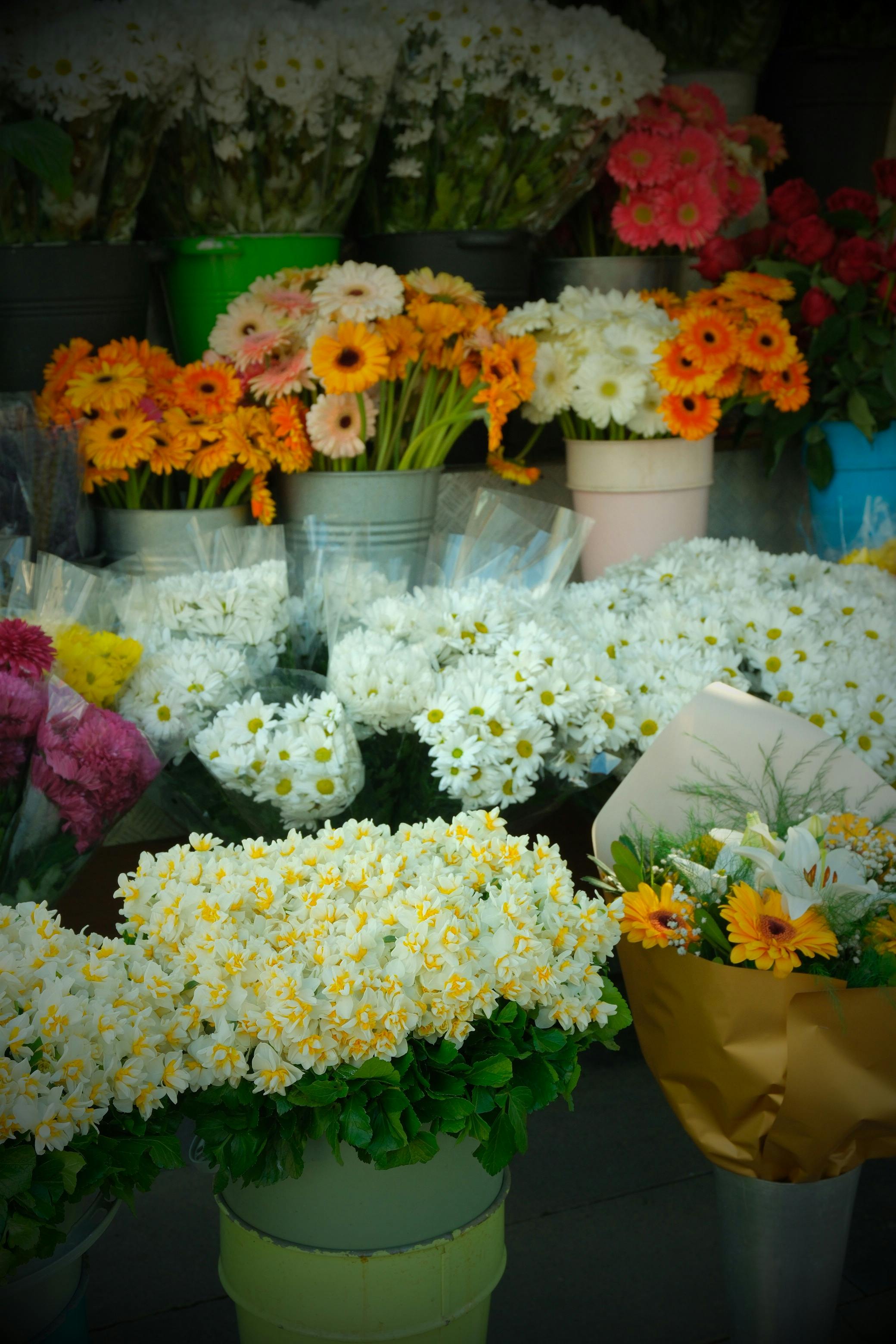 1 000+ Gerb+rasmlari banque d’images et photos libres de droit ...