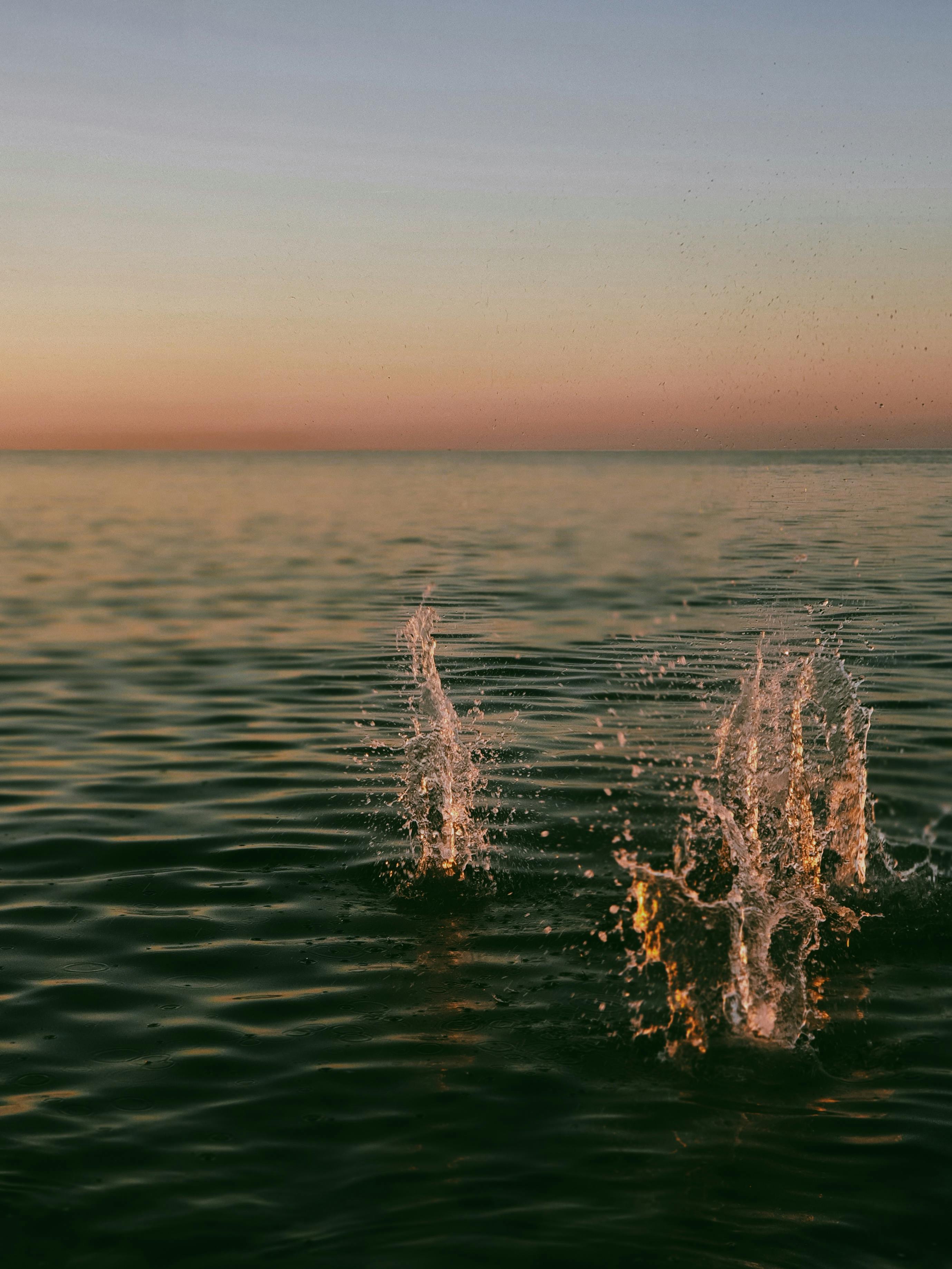 Splash+Ungu Photos, Download The BEST Free Splash+Ungu Stock Photos ...