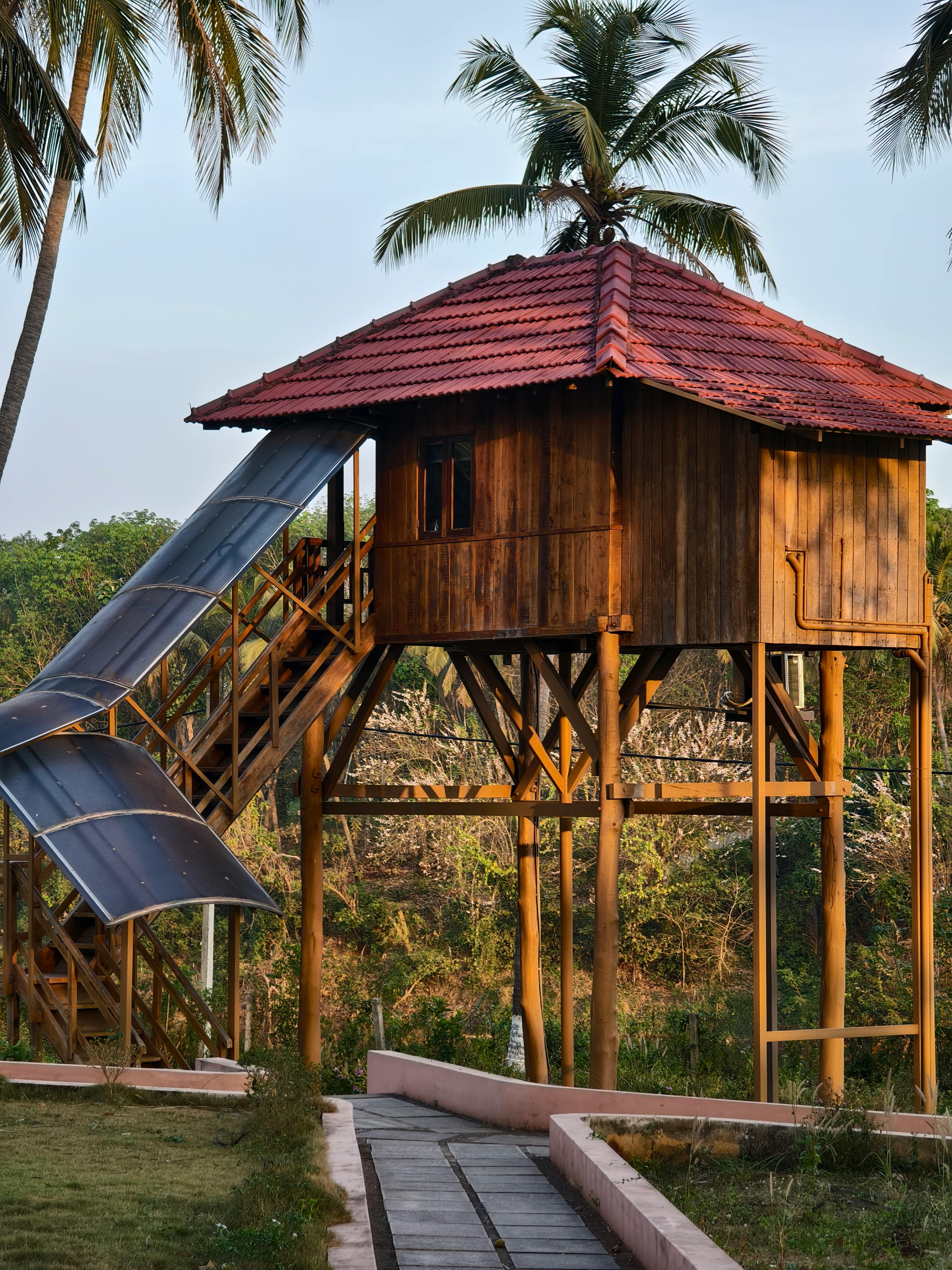 Treehouse with Slide Amidst Palm Trees · Free Stock Photo