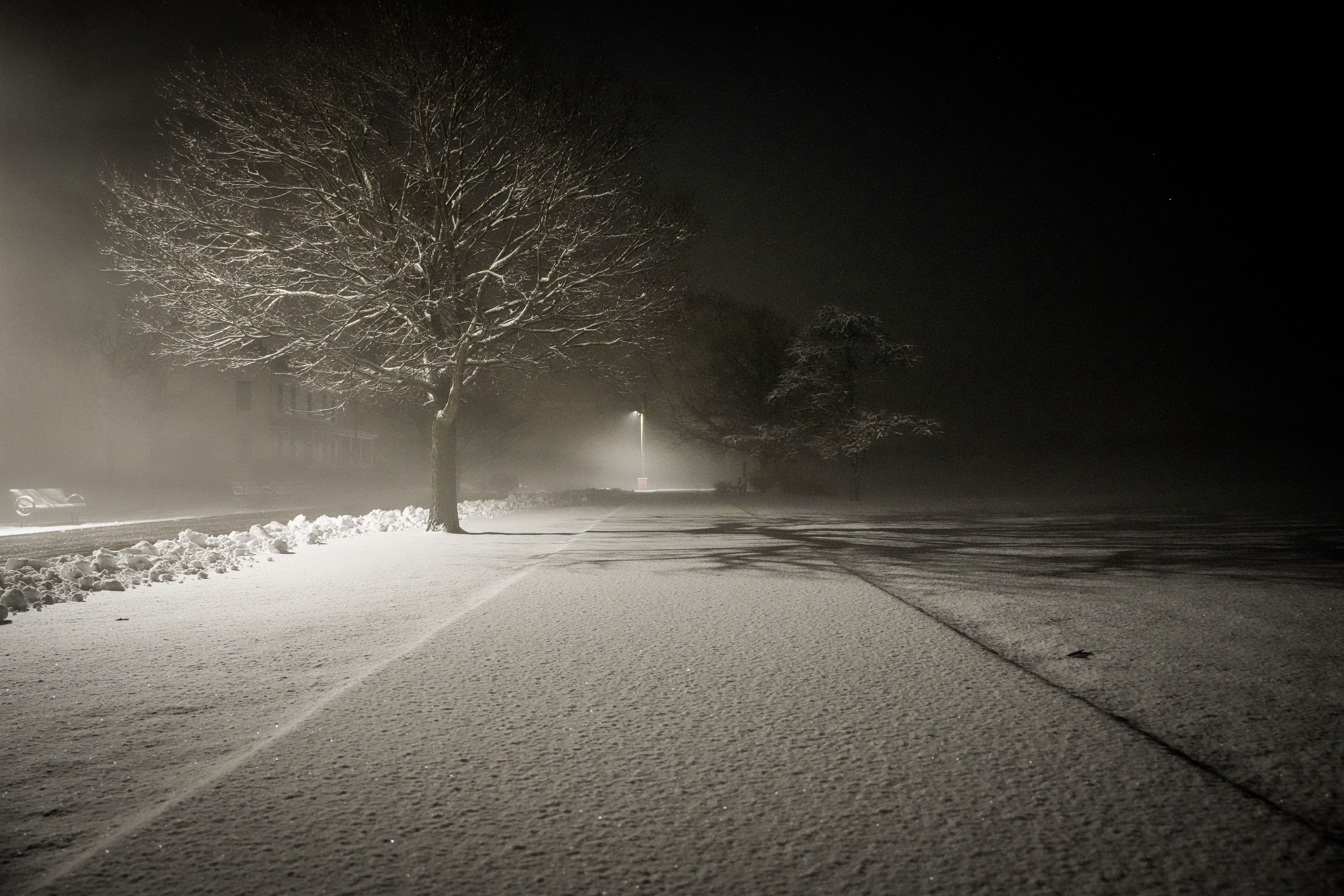 Winter Night at Snow-Covered Stamford Park · Free Stock Photo