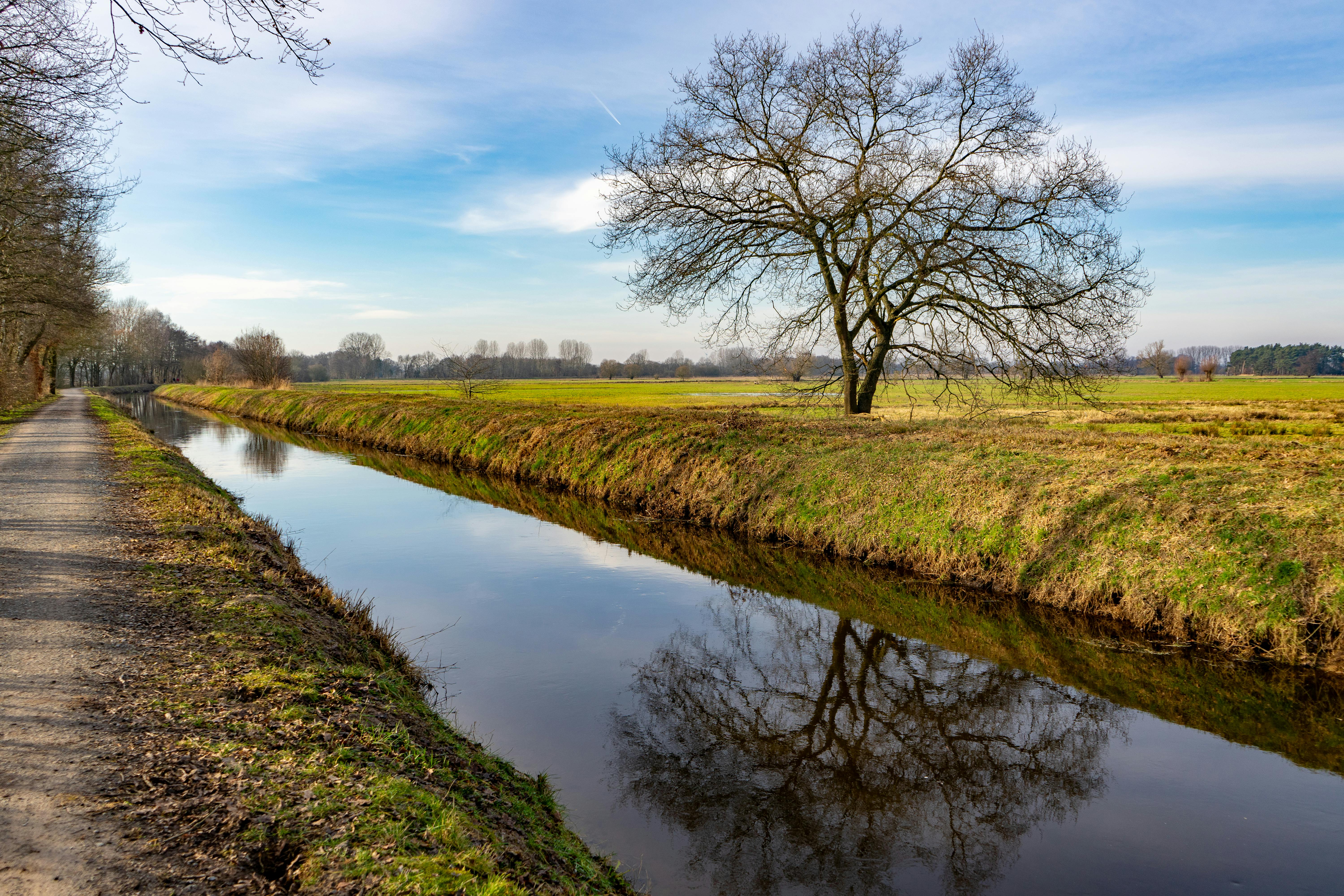 Tranquil Landscape with Tree Reflection in Rietberg · Free Stock Photo