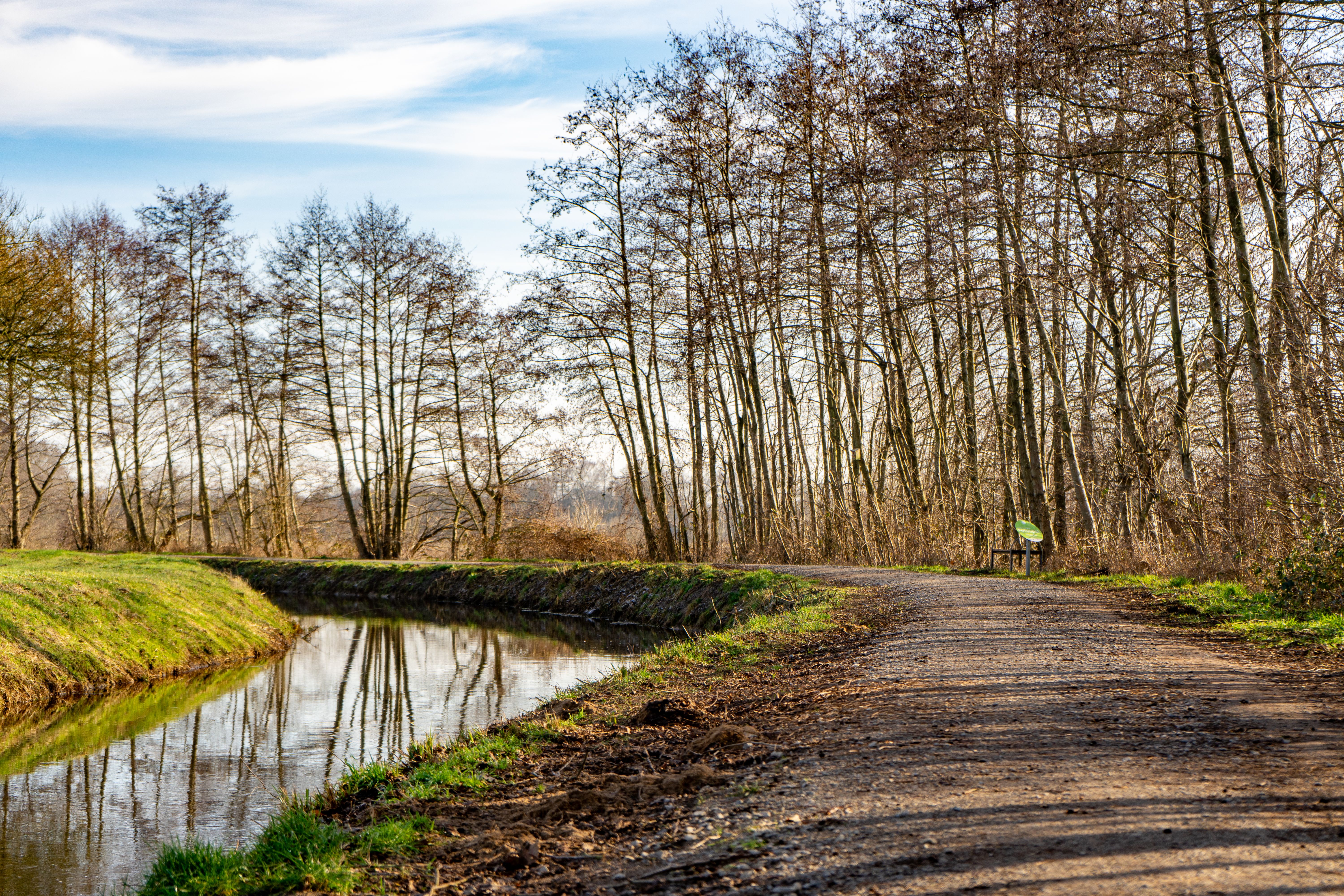 Serene Canal Side Path in Rietberg, Germany · Free Stock Photo