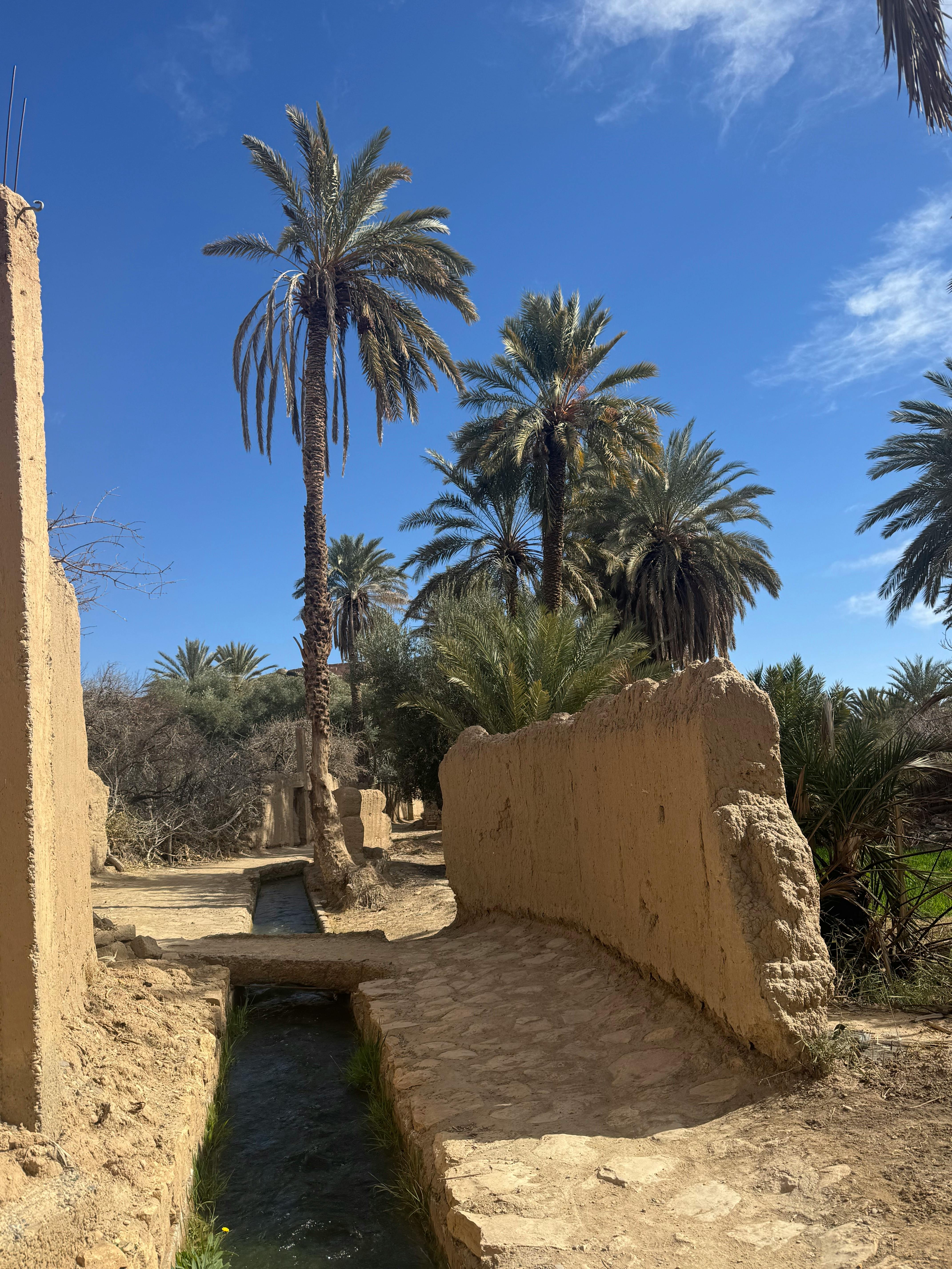 Morroco Tourism Photos, Download The BEST Free Morroco Tourism Stock ...