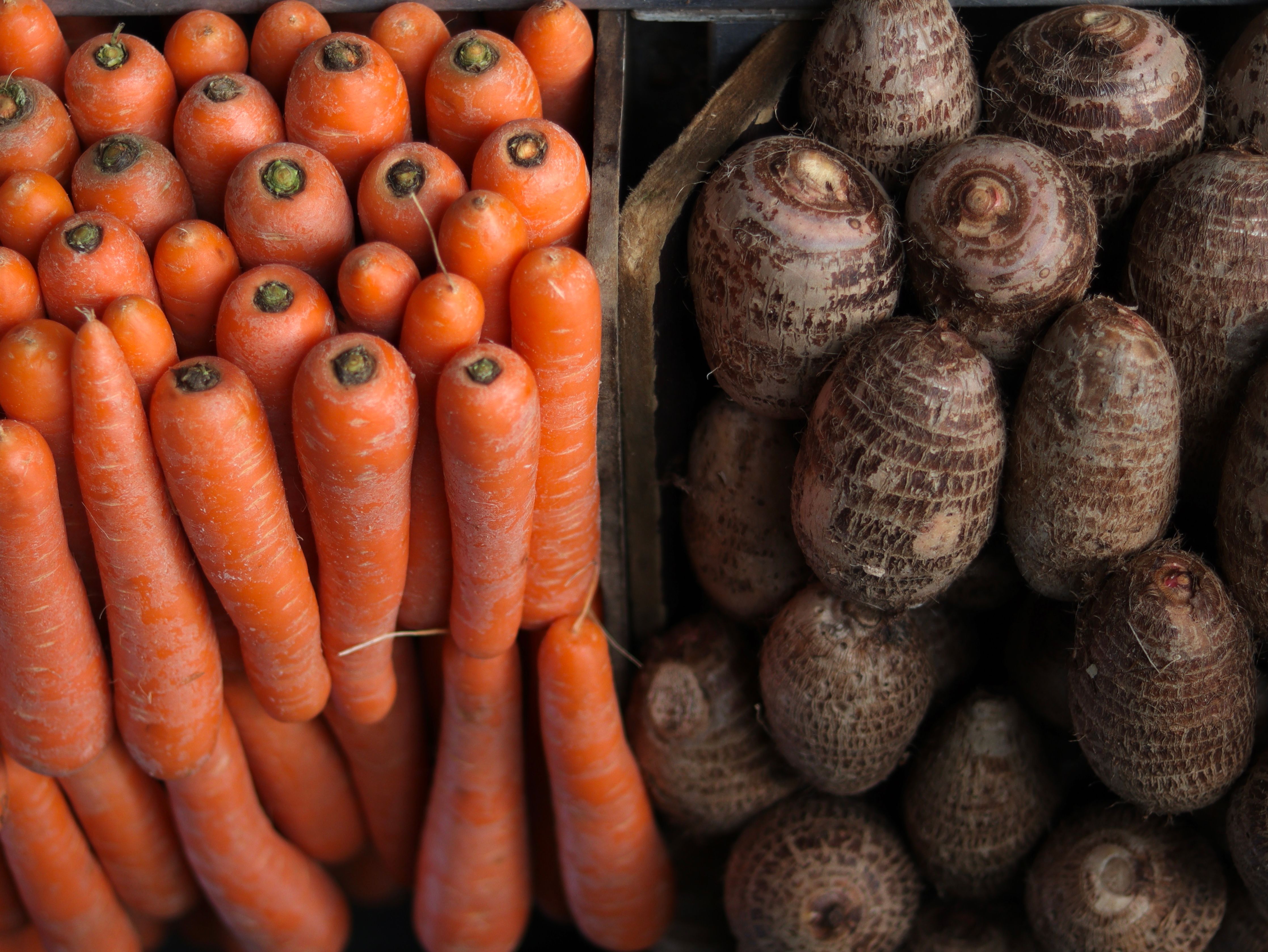 Fresh Carrots and Taro Root at Market · Free Stock Photo