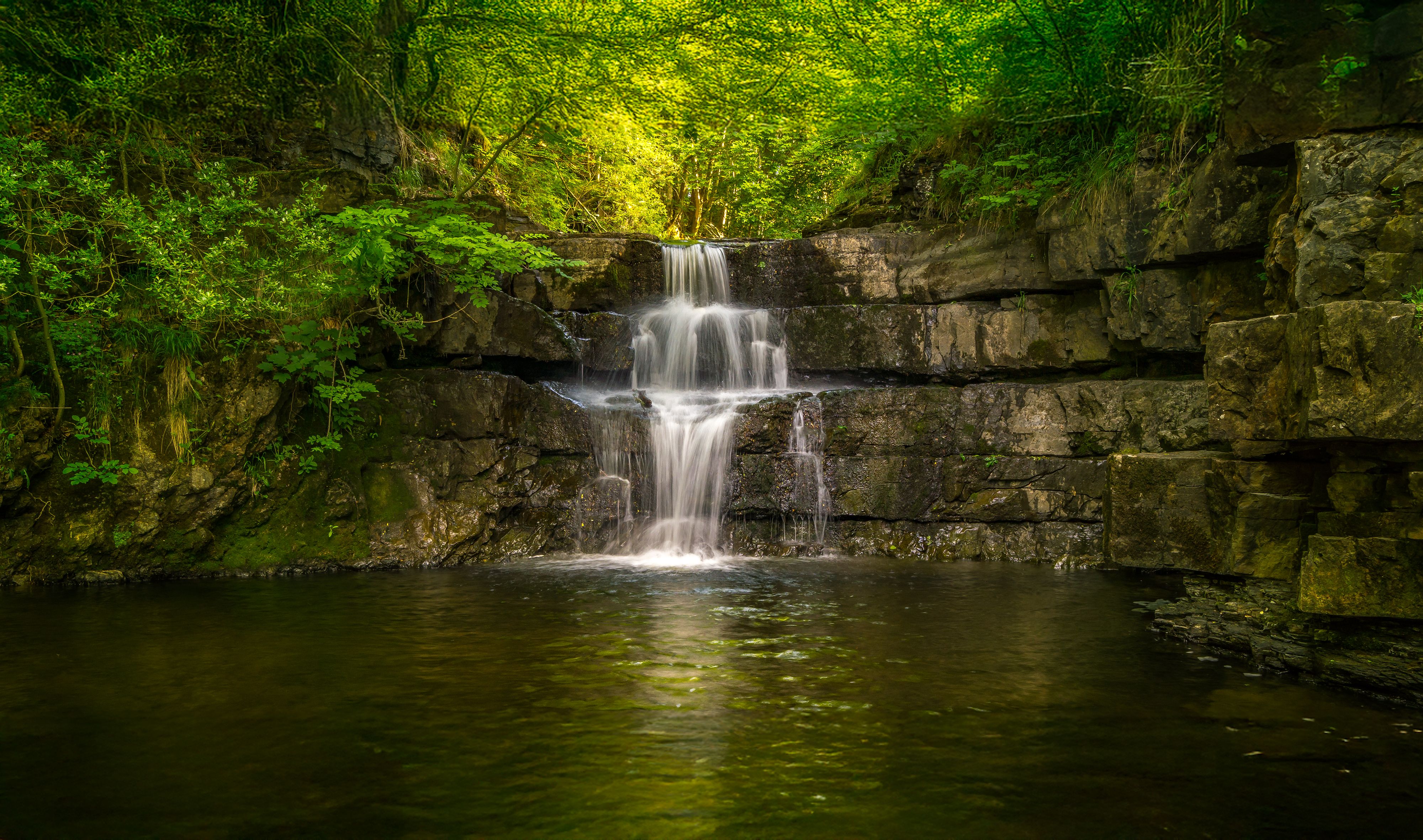 Serene Waterfall in Lush Green Forest Setting · Free Stock Photo