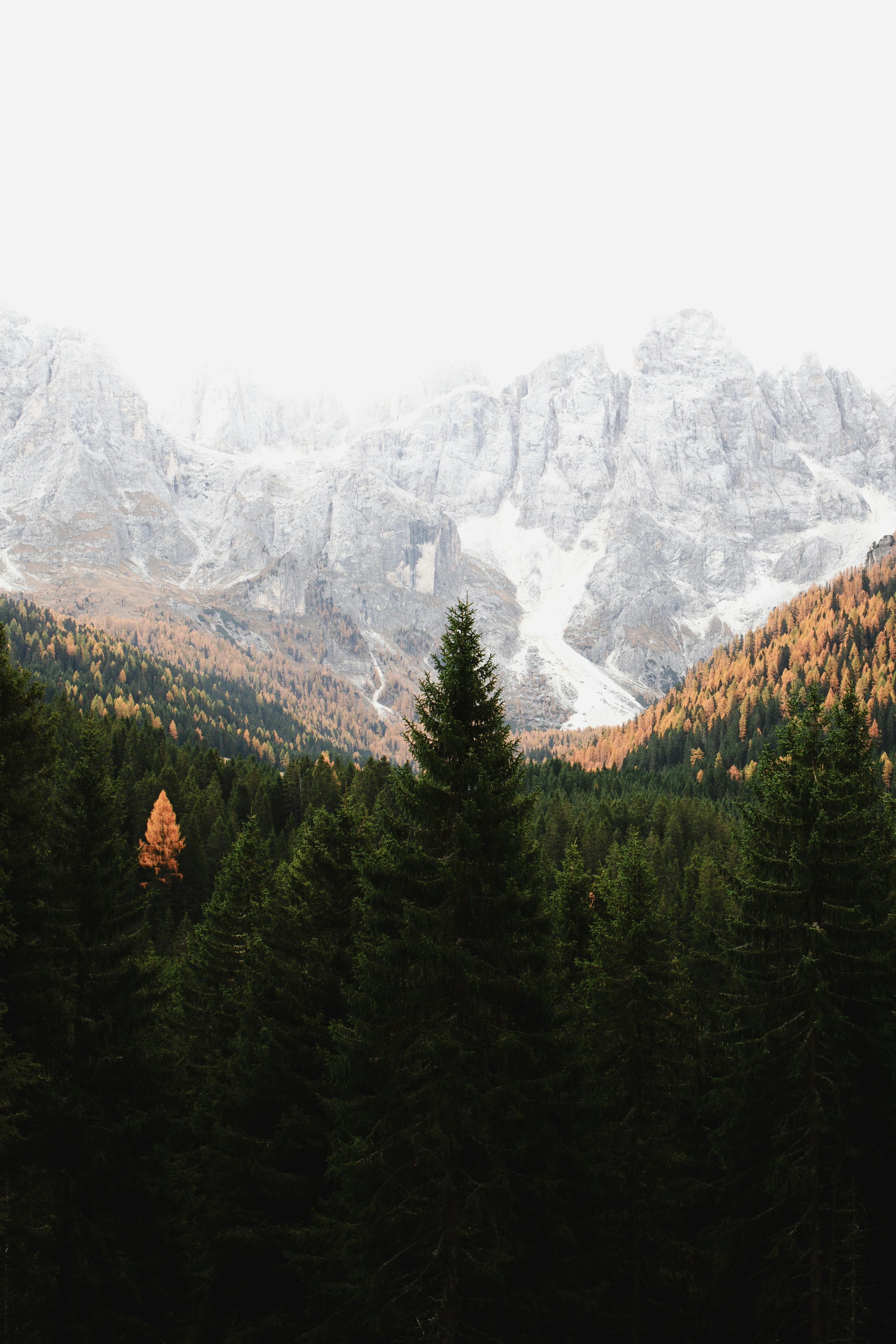 Altos Adventure Photos, Download The BEST Free Altos Adventure Stock ...