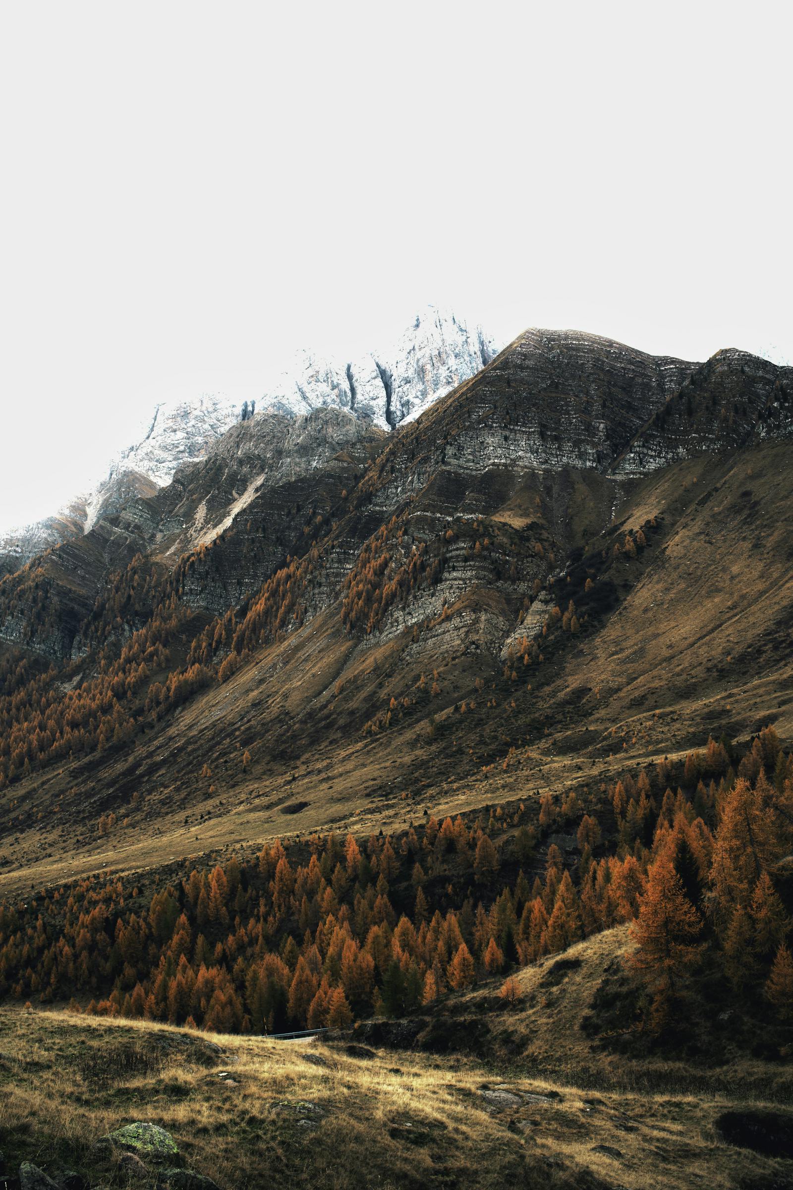 Aerial+View+Of+A+Wildlife+Corridor+In+Tossa+De+Mar,+Spain Photos ...