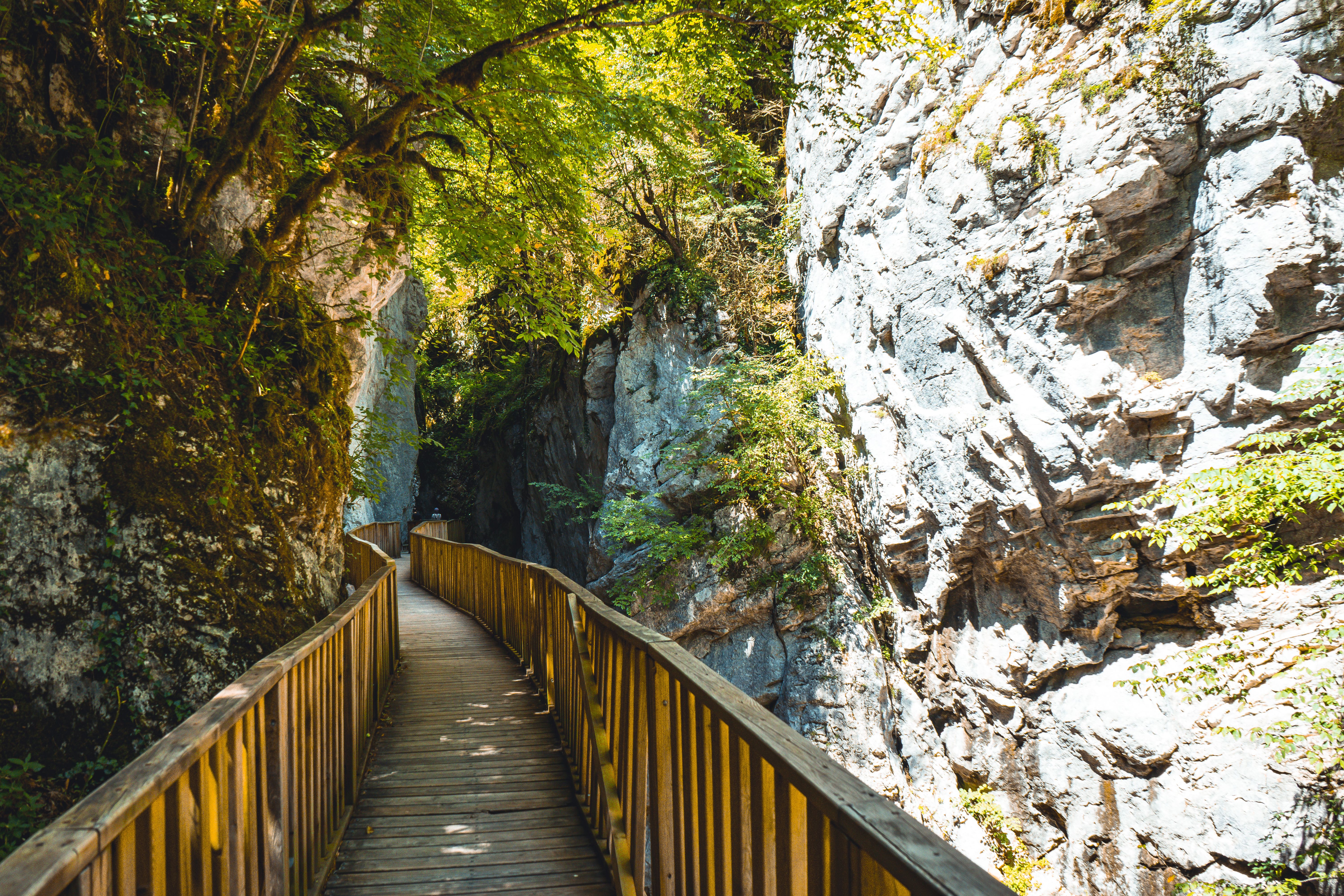 Scenic Wooden Walkway in Kastamonu Gorge · Free Stock Photo