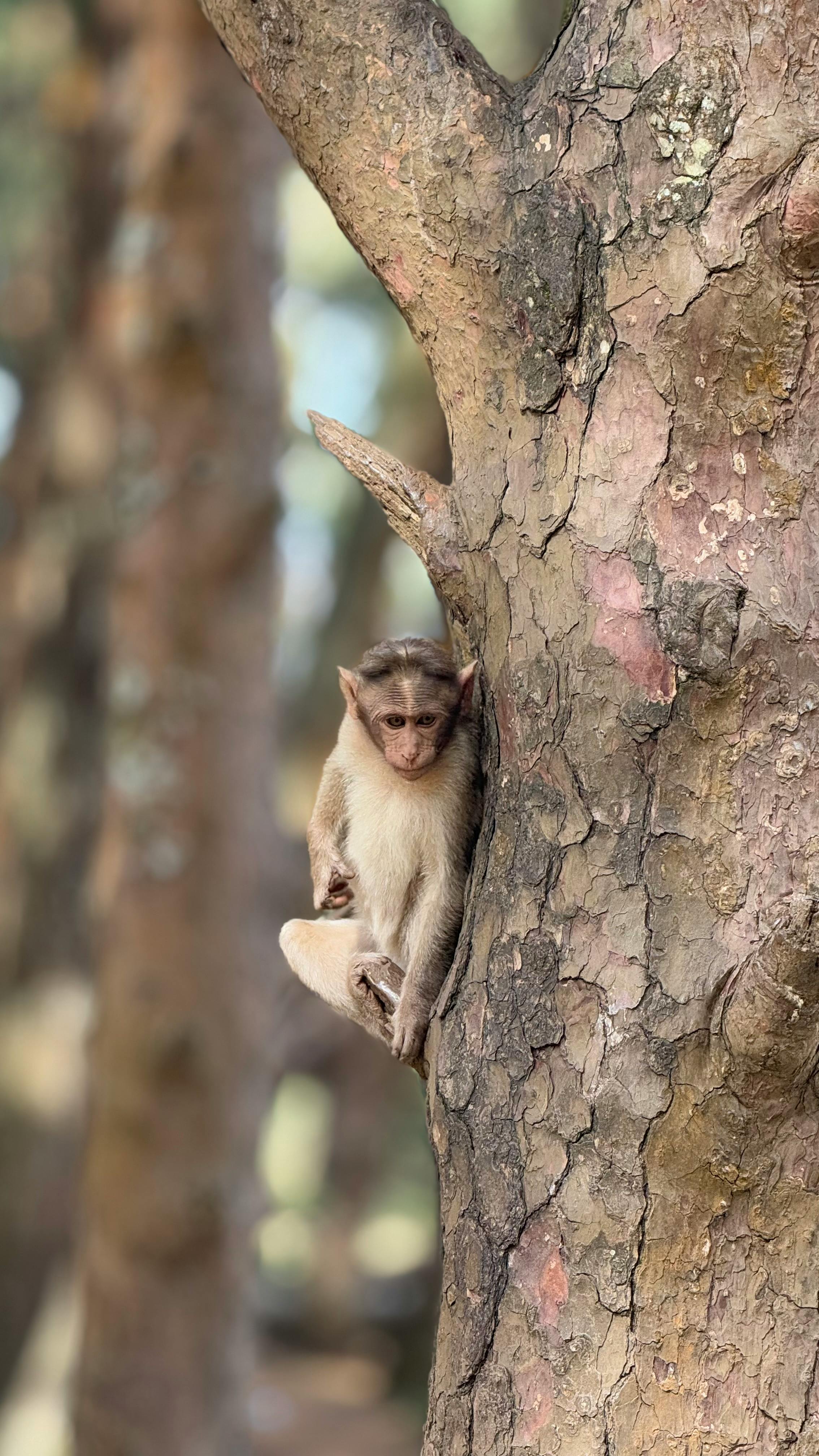 Climbing Anime Photos, Download The BEST Free Climbing Anime Stock ...