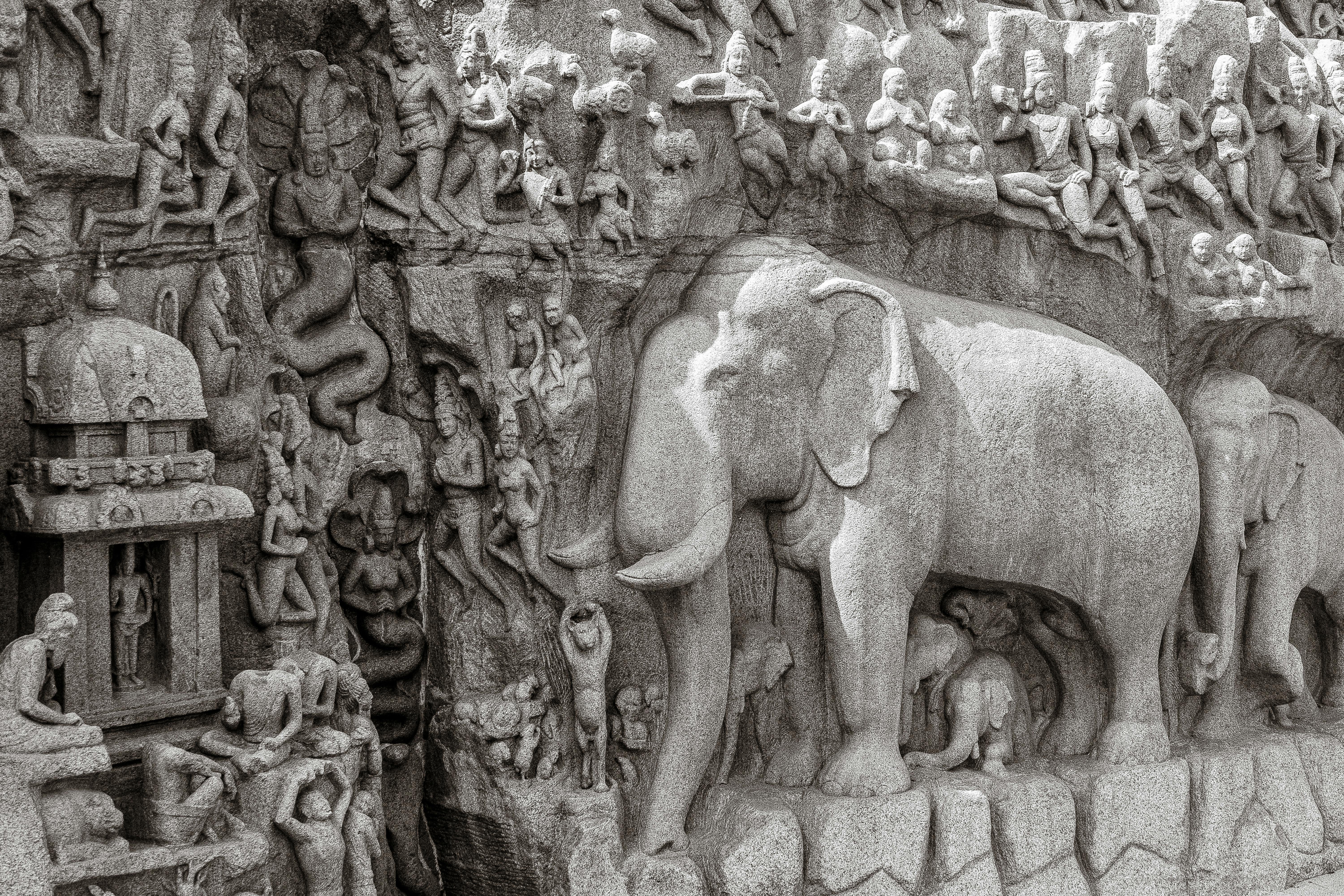 Intricately Carved Stone Relief with Elephants · Free Stock Photo