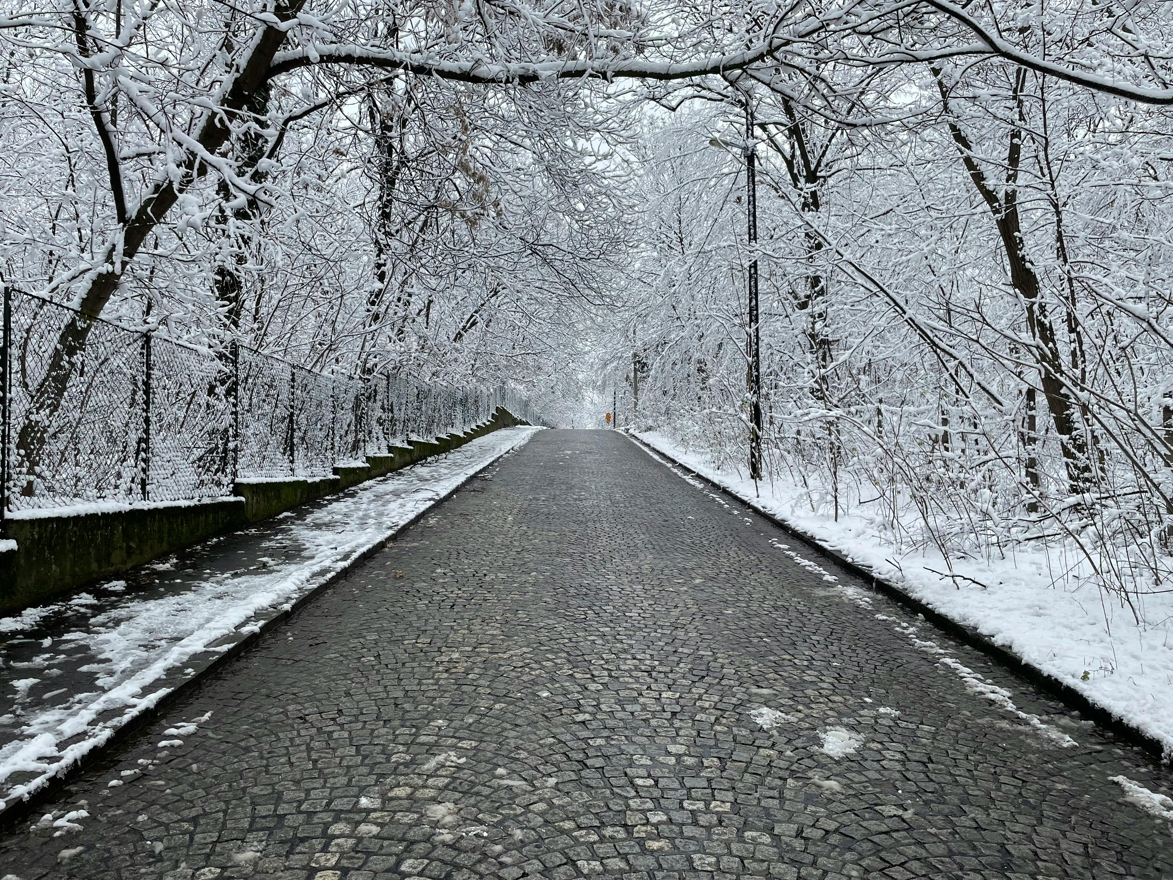 Snow-Covered Pathway in Belgrade's Winter Wonderland · Free Stock Photo