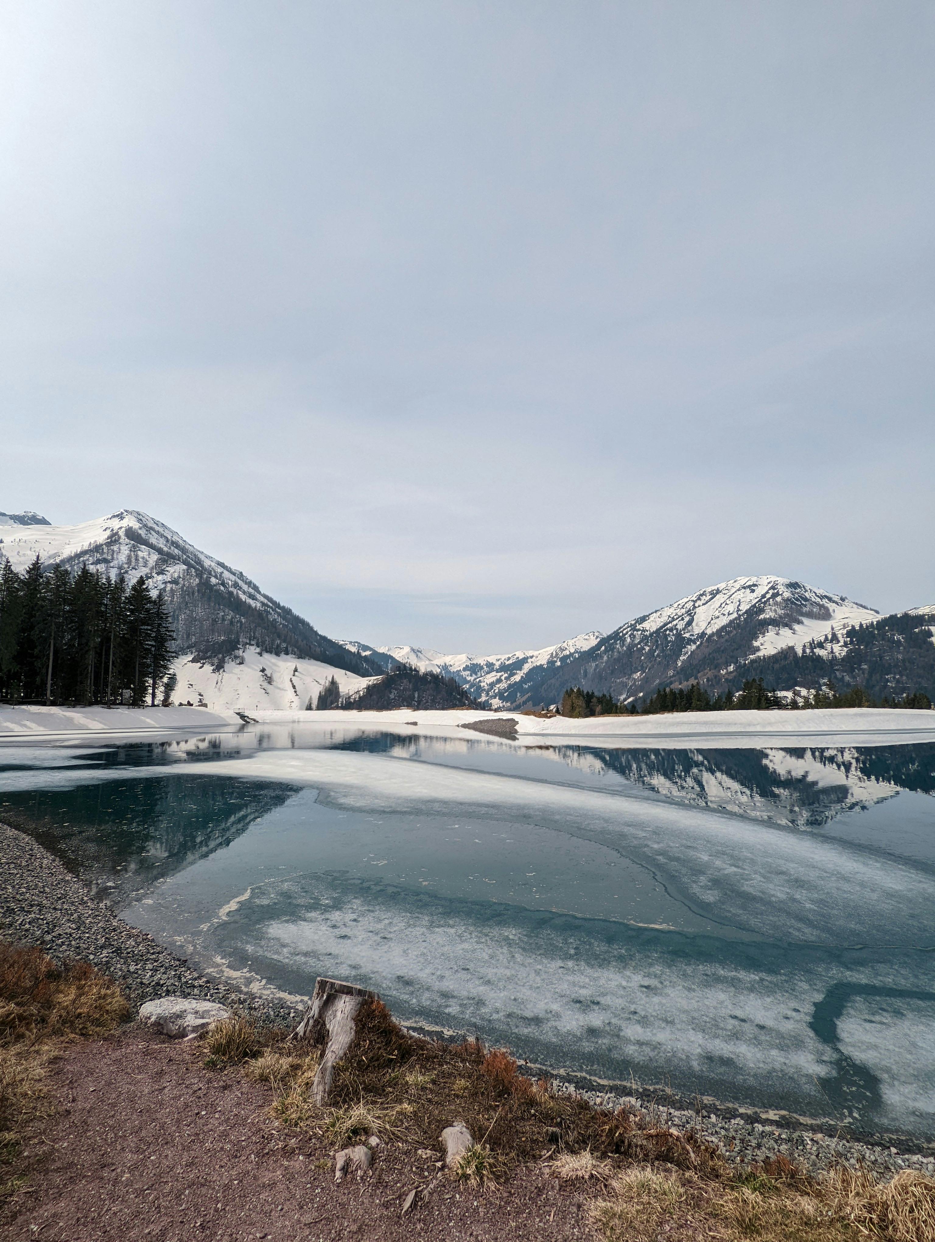 Nature Stills Photos, Download The BEST Free Nature Stills Stock Photos ...