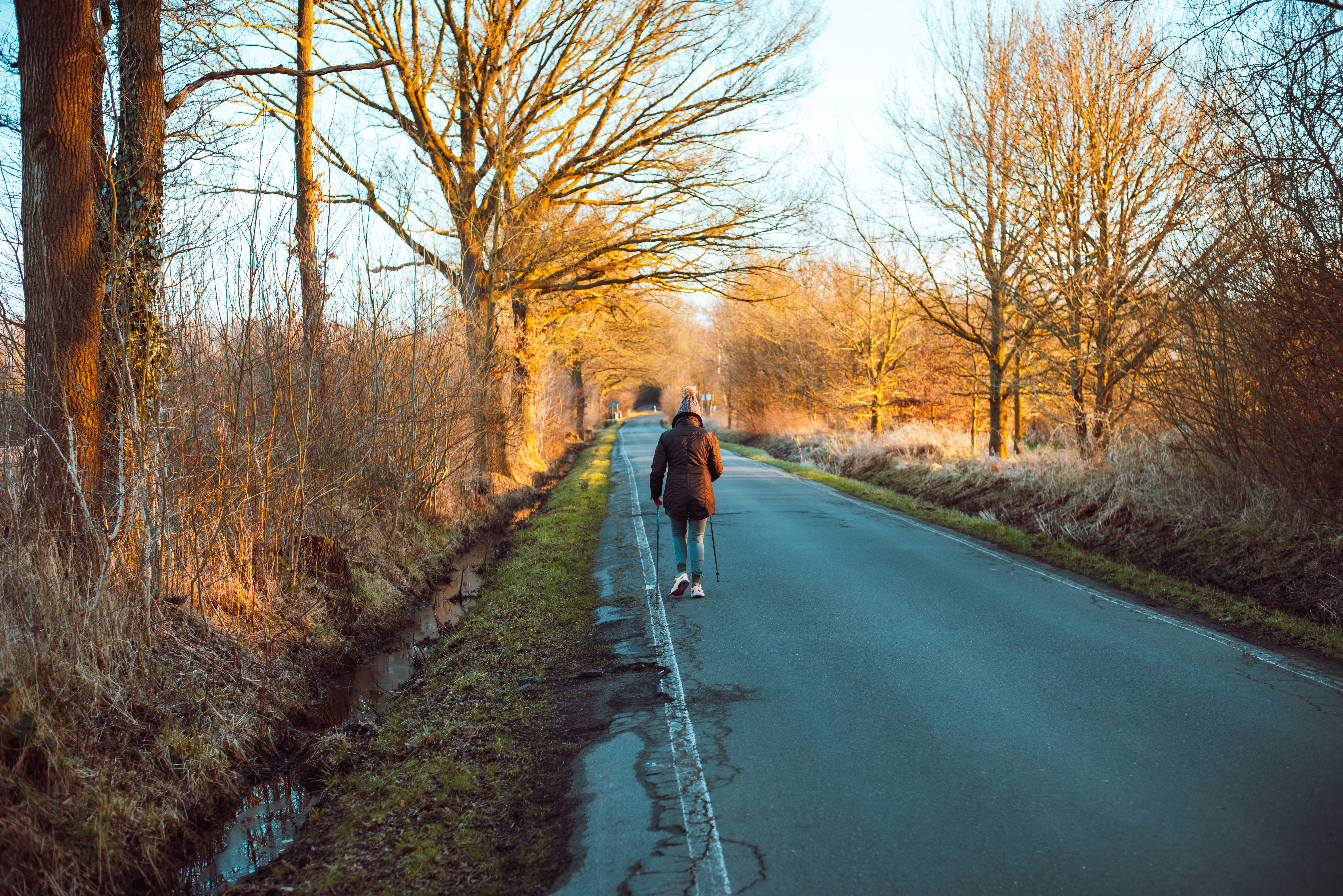 Person Walking on Countryside Road in Winter · Free Stock Photo