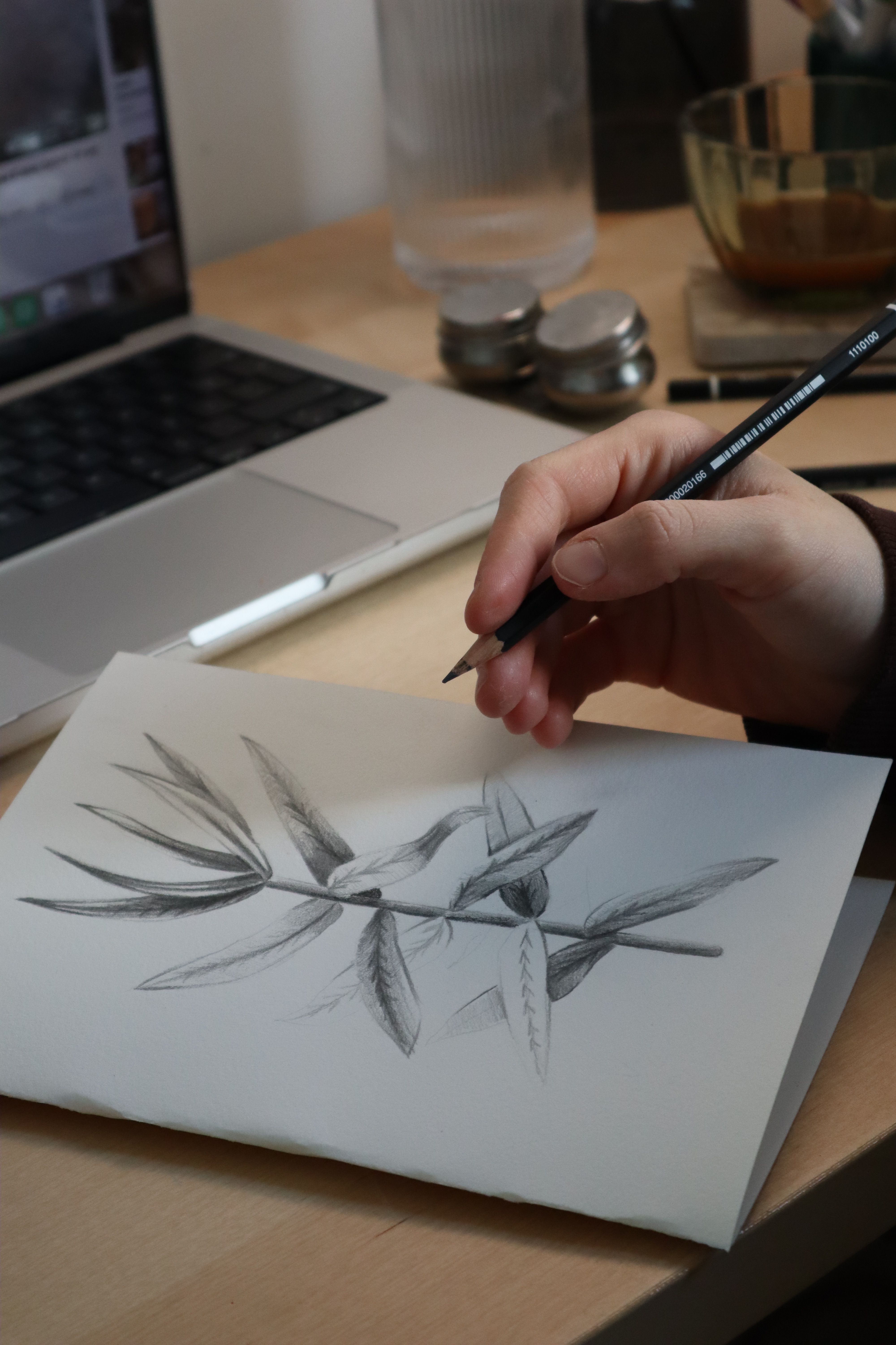 Artist Sketching Plant Leaves in Natural Light · Free Stock Photo