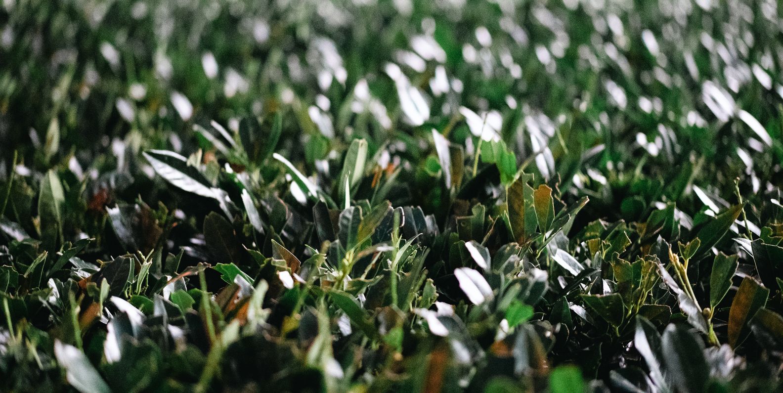 How to Become a Hedge Fund Manager: A Step-by-Step Guide