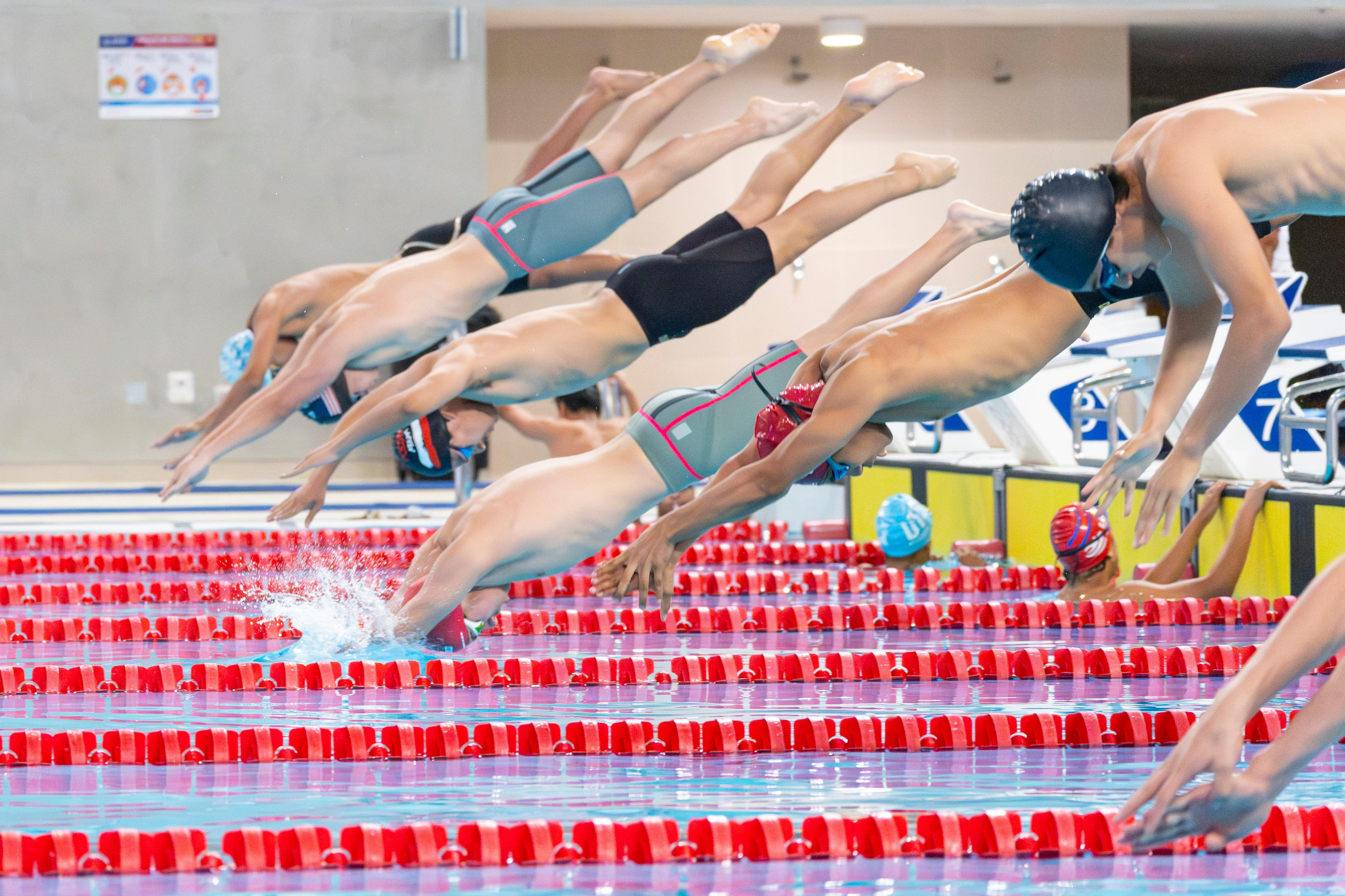 Los Atletas Se Lanzan A La Carrera De Natación Competitiva · Foto de ...